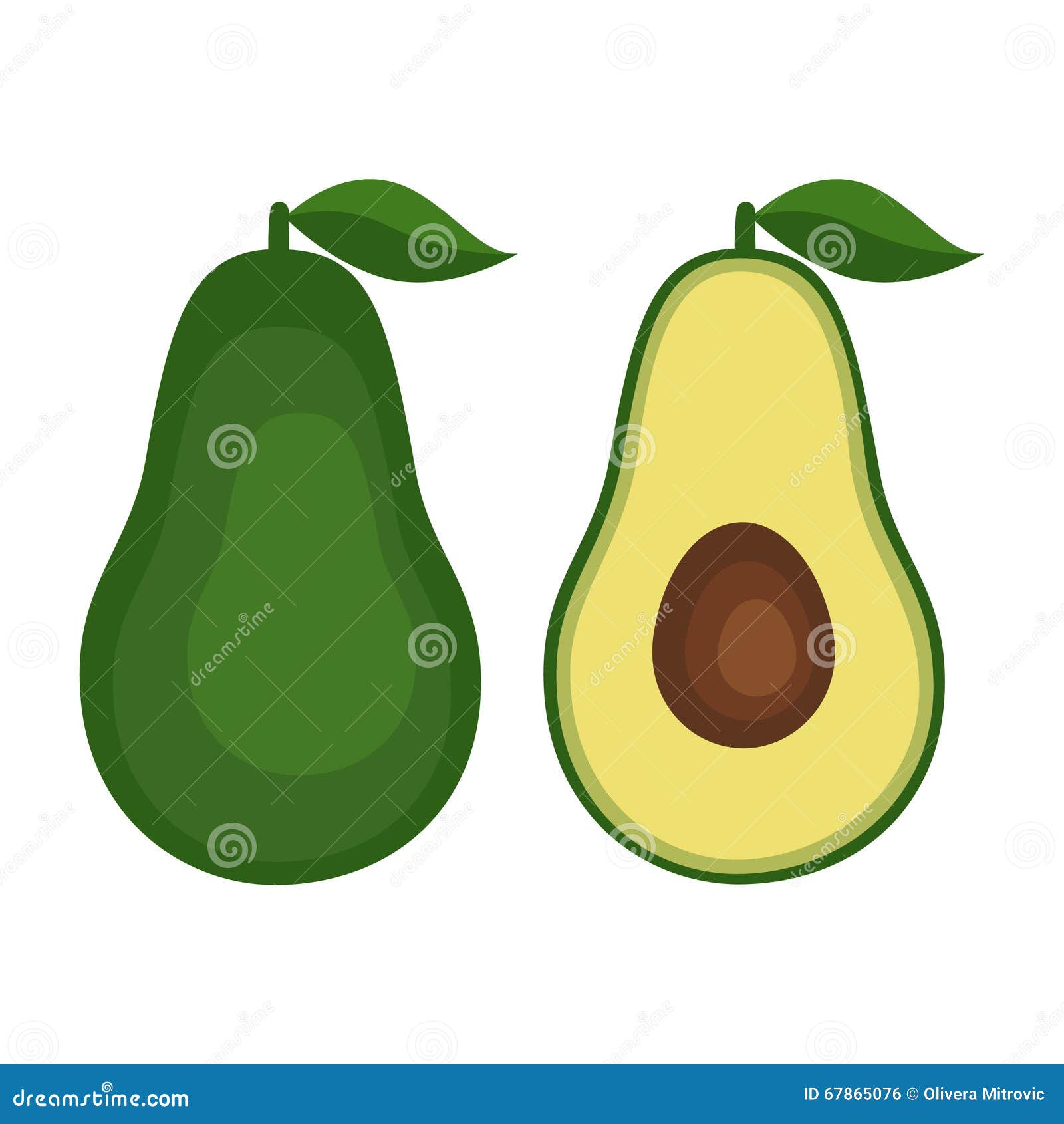 Flat icon avocado stock vector. Illustration of nutritious - 67865076