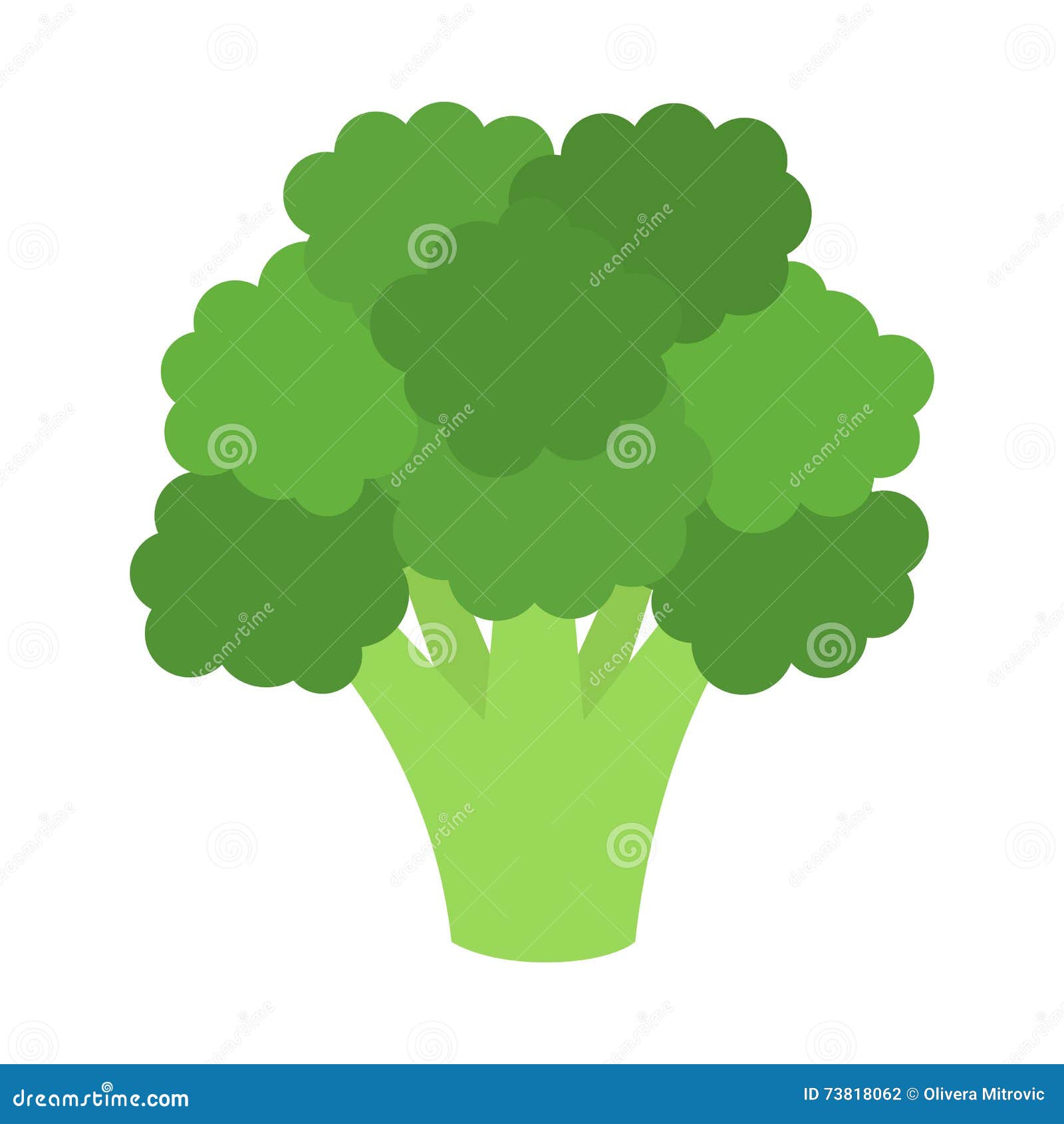 Flat icon broccoli stock vector. Illustration of fresh - 73818062