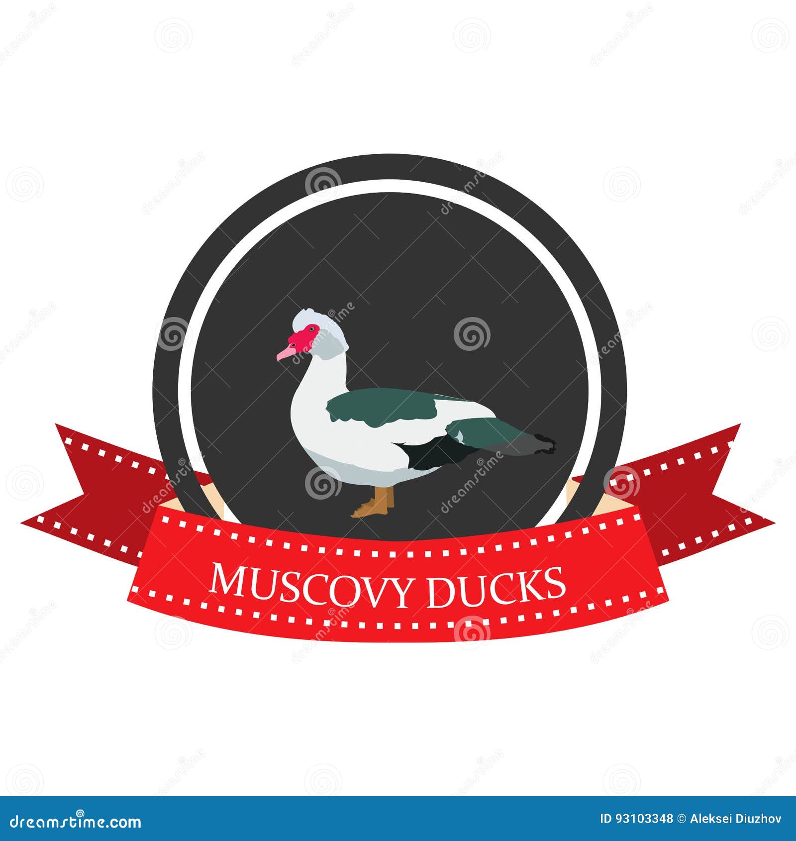 Muscovy Duck Cartoon Vector | CartoonDealer.com #245558723