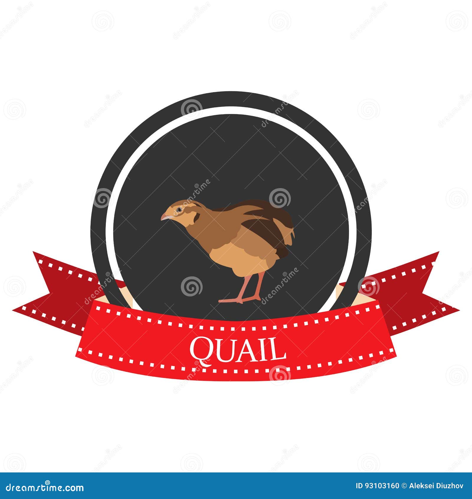 Flat Icon Quail with the Name Stock Vector - Illustration of colorful ...