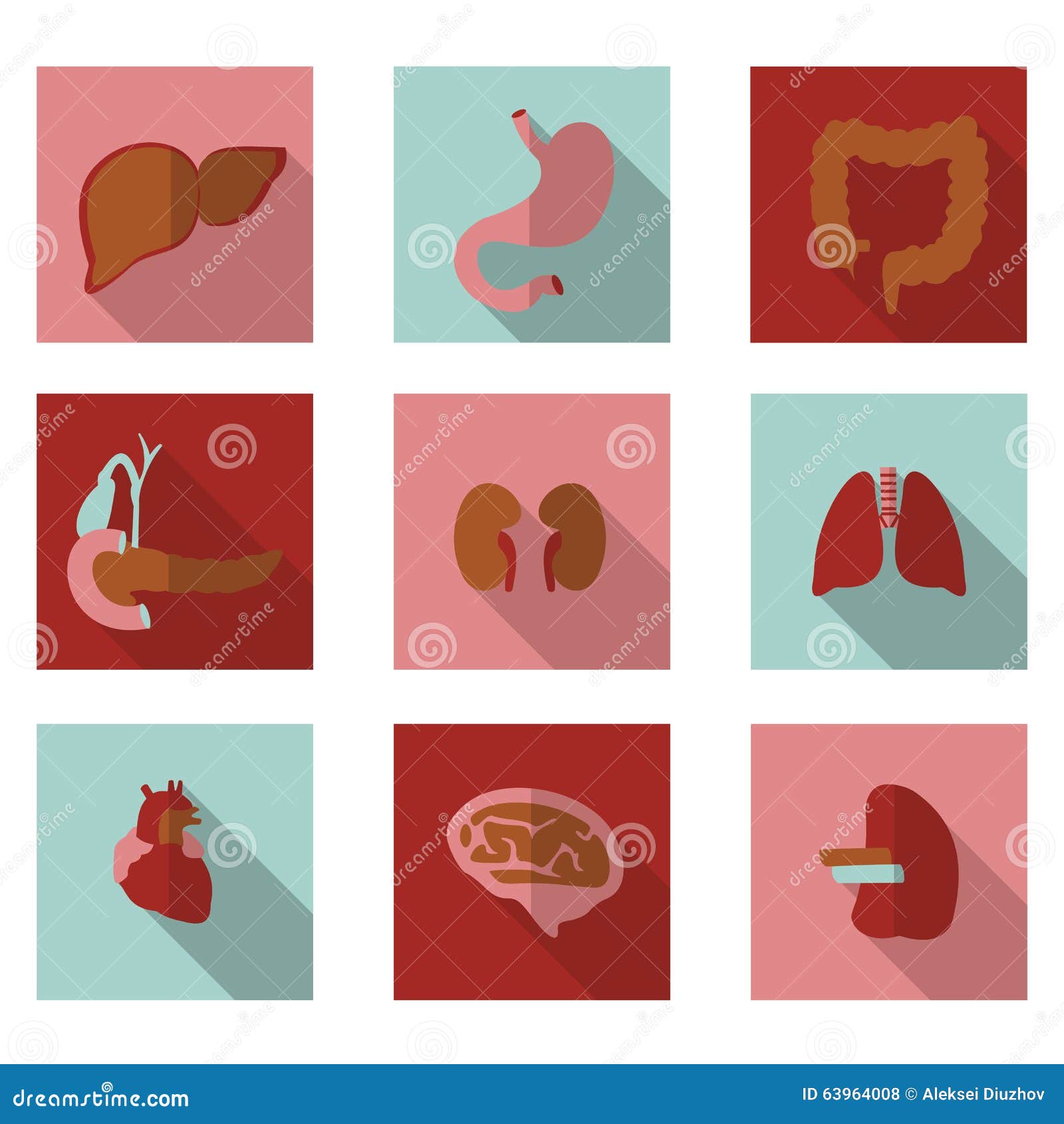 Flat icons organs stock illustration. Illustration of lung - 63964008