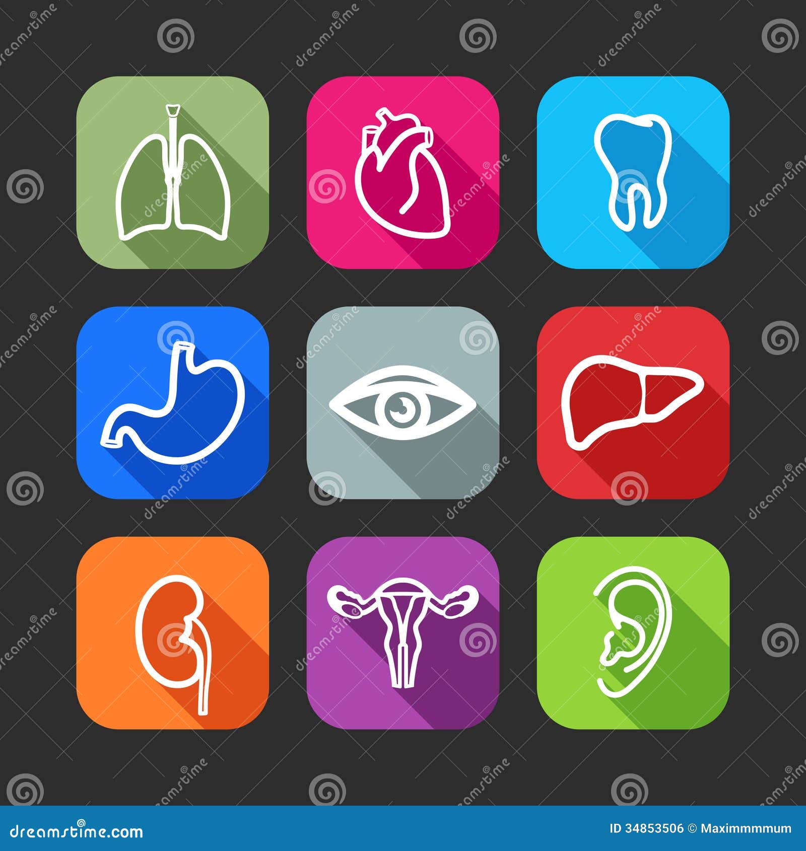 Flat Icons for Web and Mobile Applications with Human Organs Stock ...