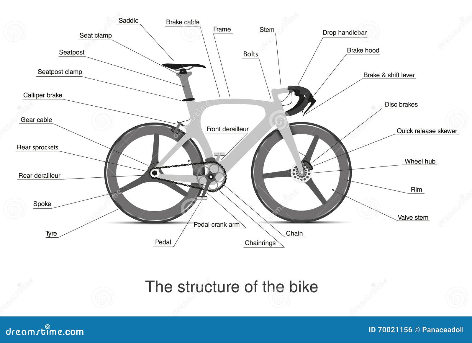 Flat Infographic of the Structure Stock Vector - Illustration of fork ...