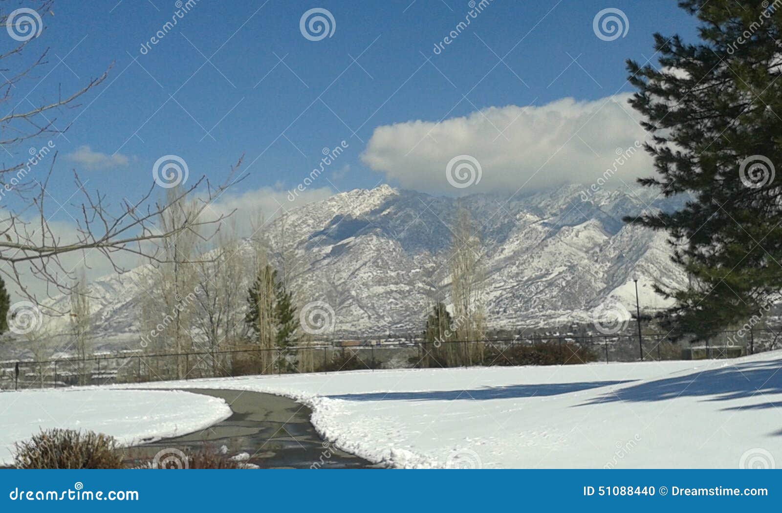 Flat Iron Park editorial image. Image of beautiful, landscape - 51088440