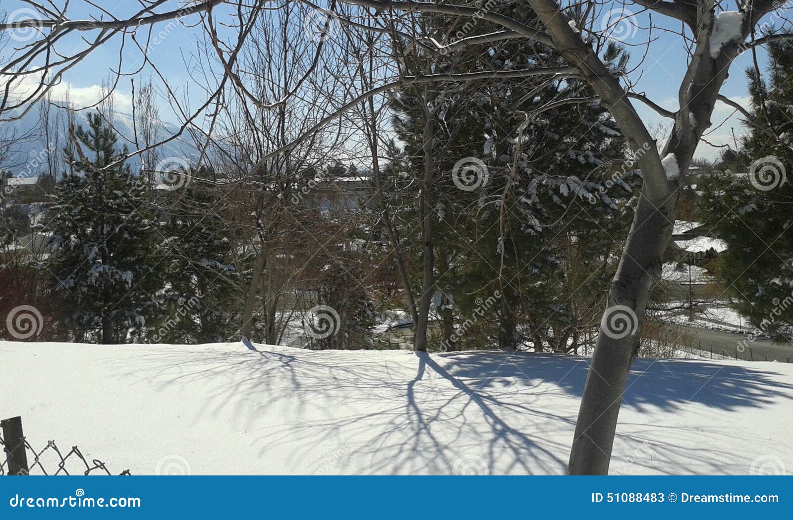 Flat Iron Park editorial stock photo. Image of iron, beautiful - 51088483