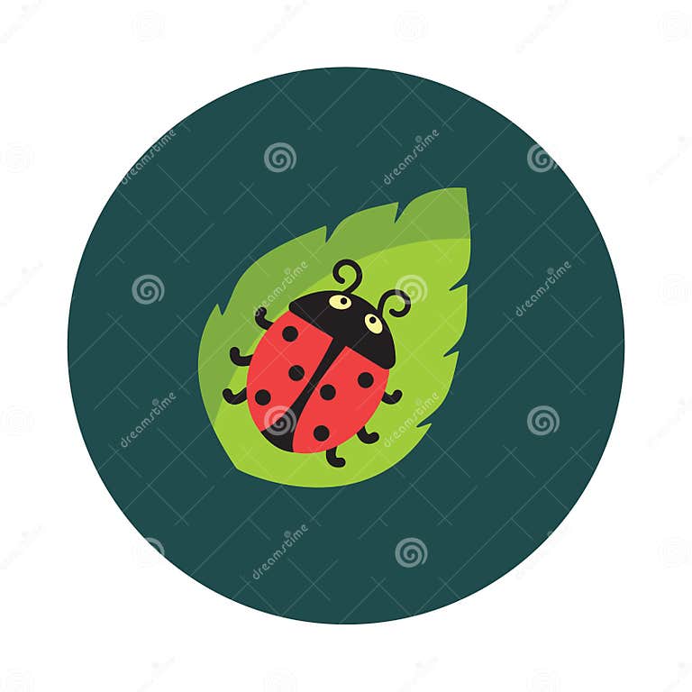 Flat Lady Bug on White Background Stock Vector - Illustration of decor ...
