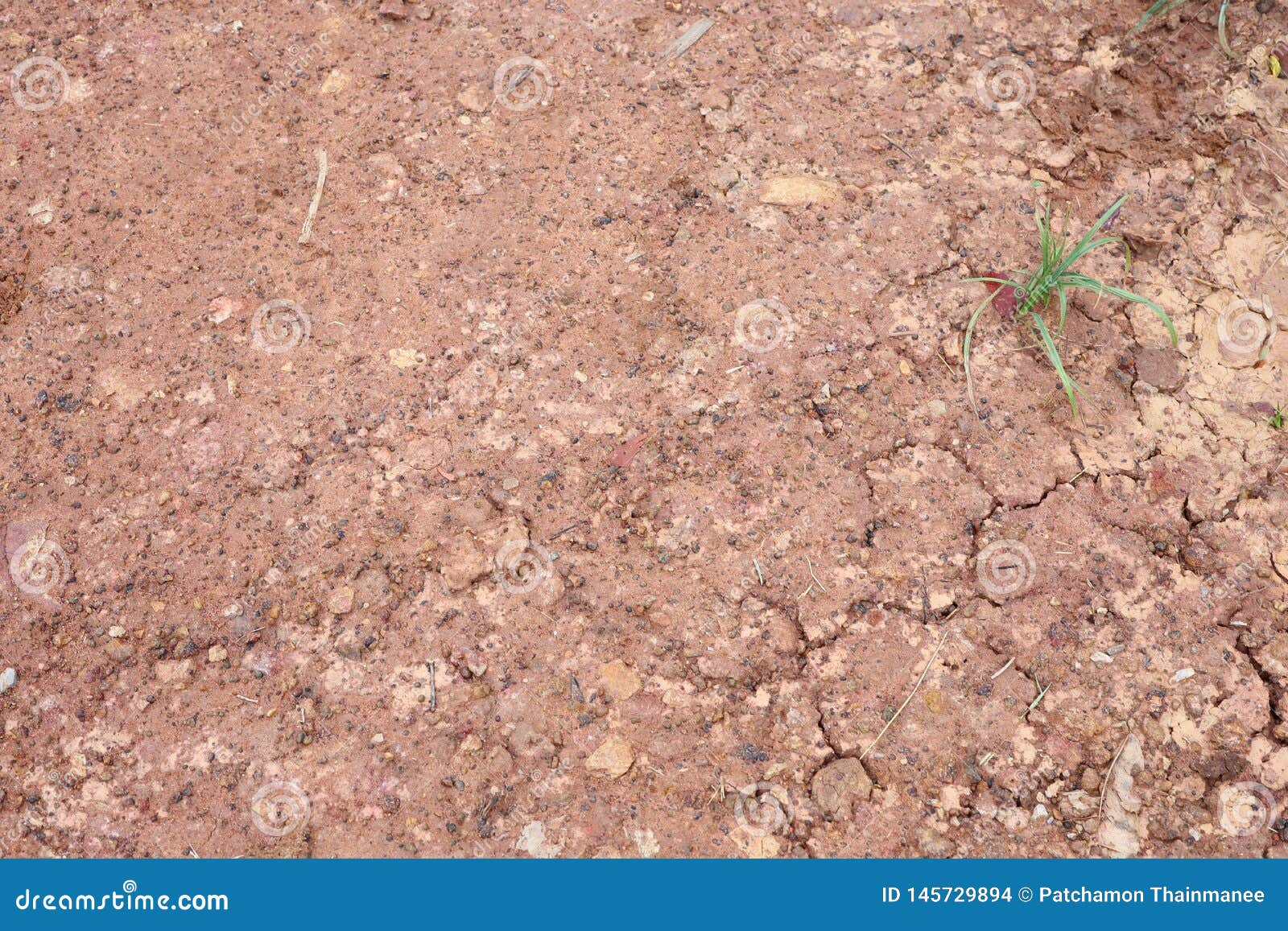Flat Land, Dry Land, Rural Asia, Abstract Background Stock Photo ...