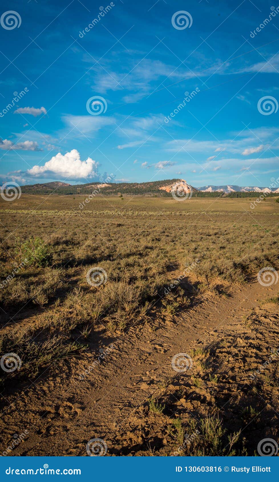 Flat land in Utah stock photo. Image of flat, scenic - 130603816