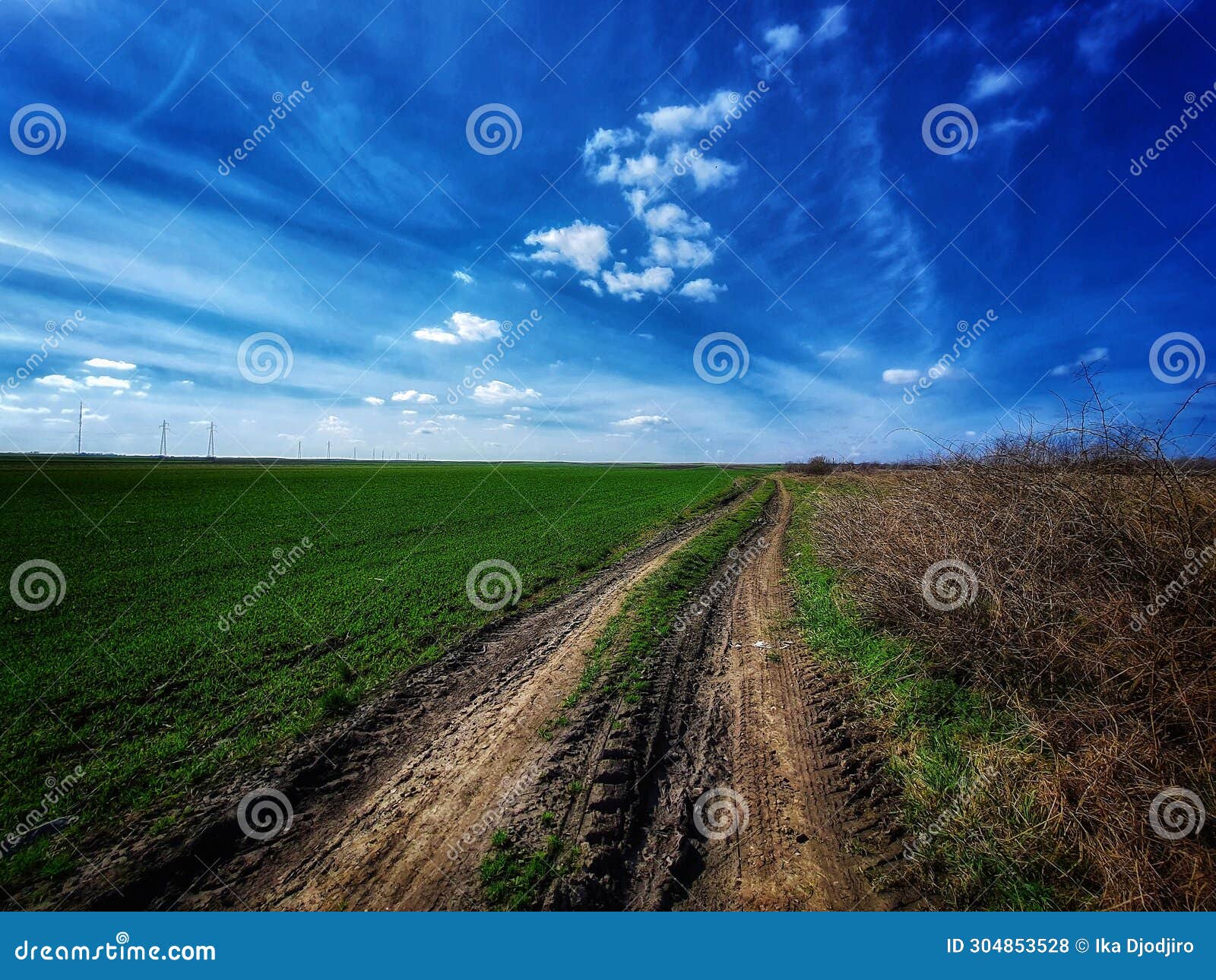 Flat land Vojvodina stock photo. Image of flat, vojvodina - 304853528
