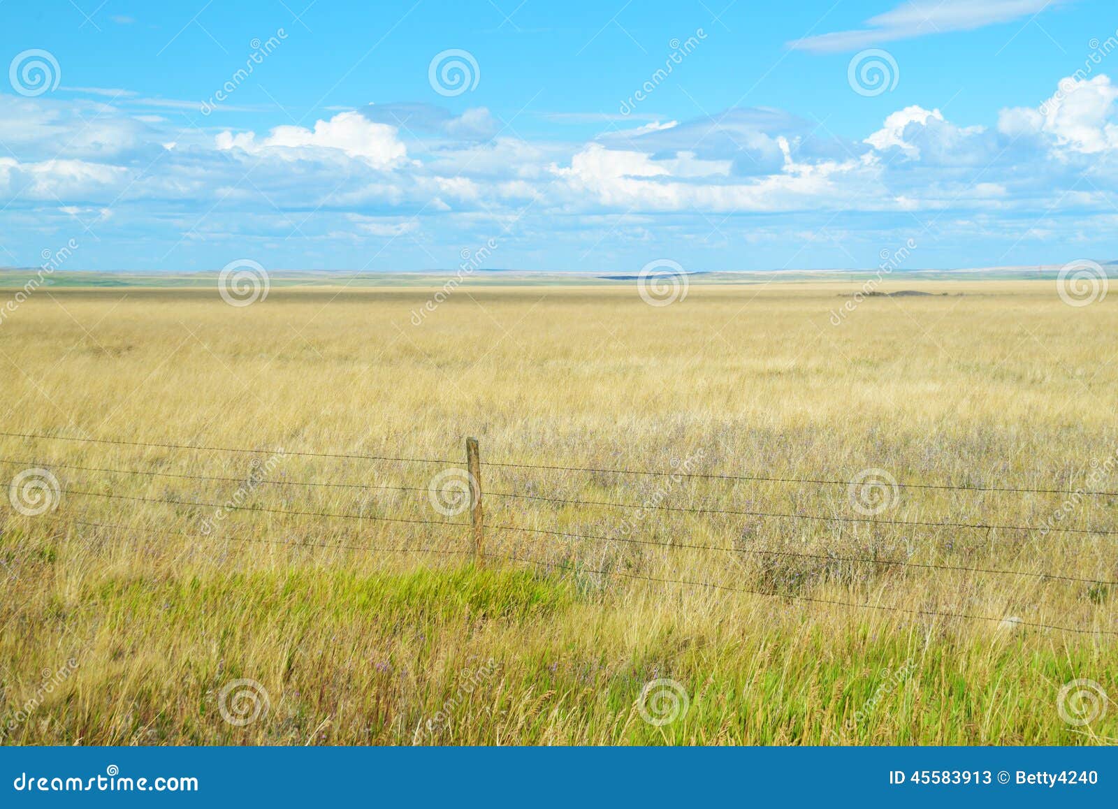 Flat Lands and Open Fields in Montana. Stock Image - Image of long ...
