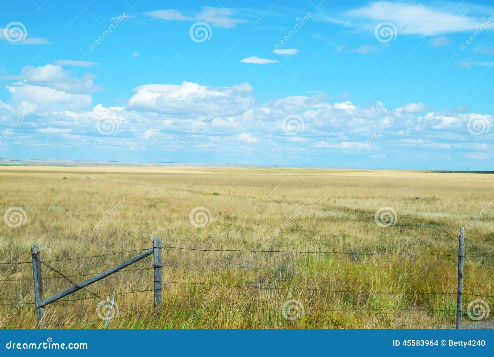 Flat Lands and Open Fields in Montana. Stock Photo - Image of barren ...