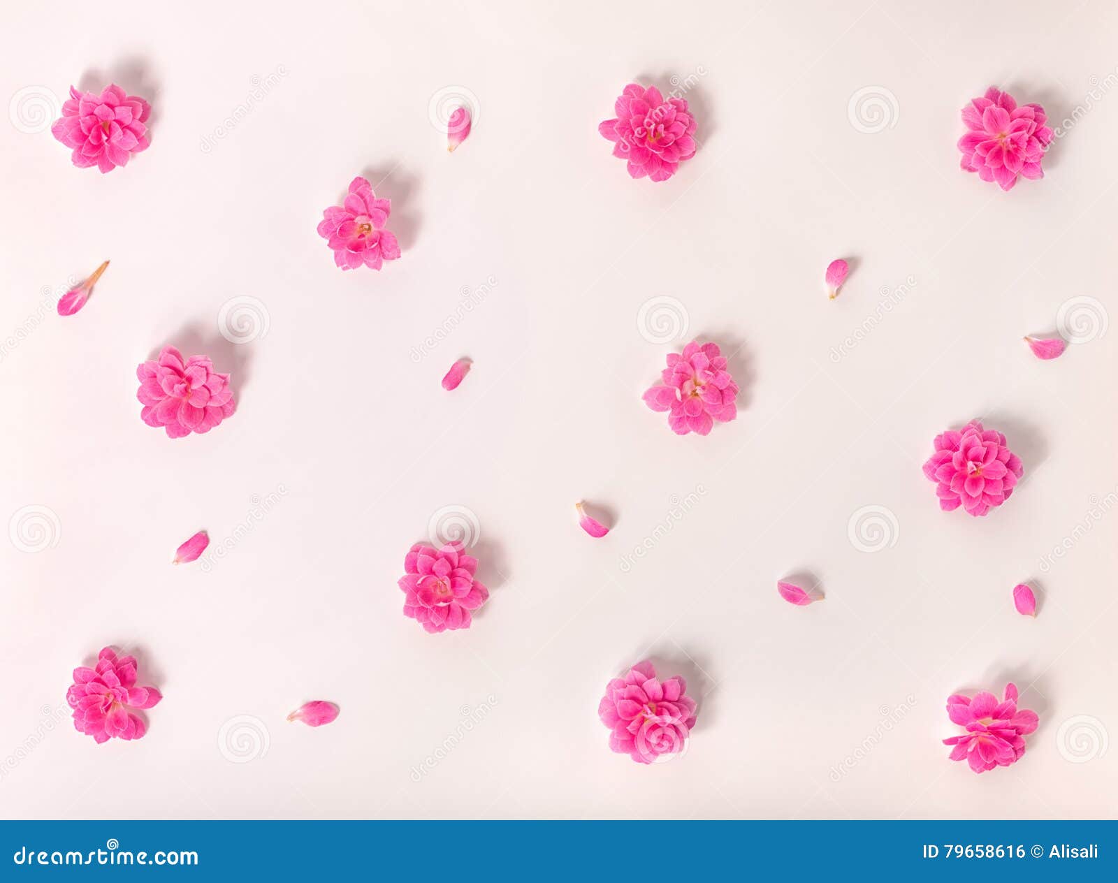 Flat Lay of Beautiful Trendy Seamless Pattern Flowers on Pink Ba Stock ...