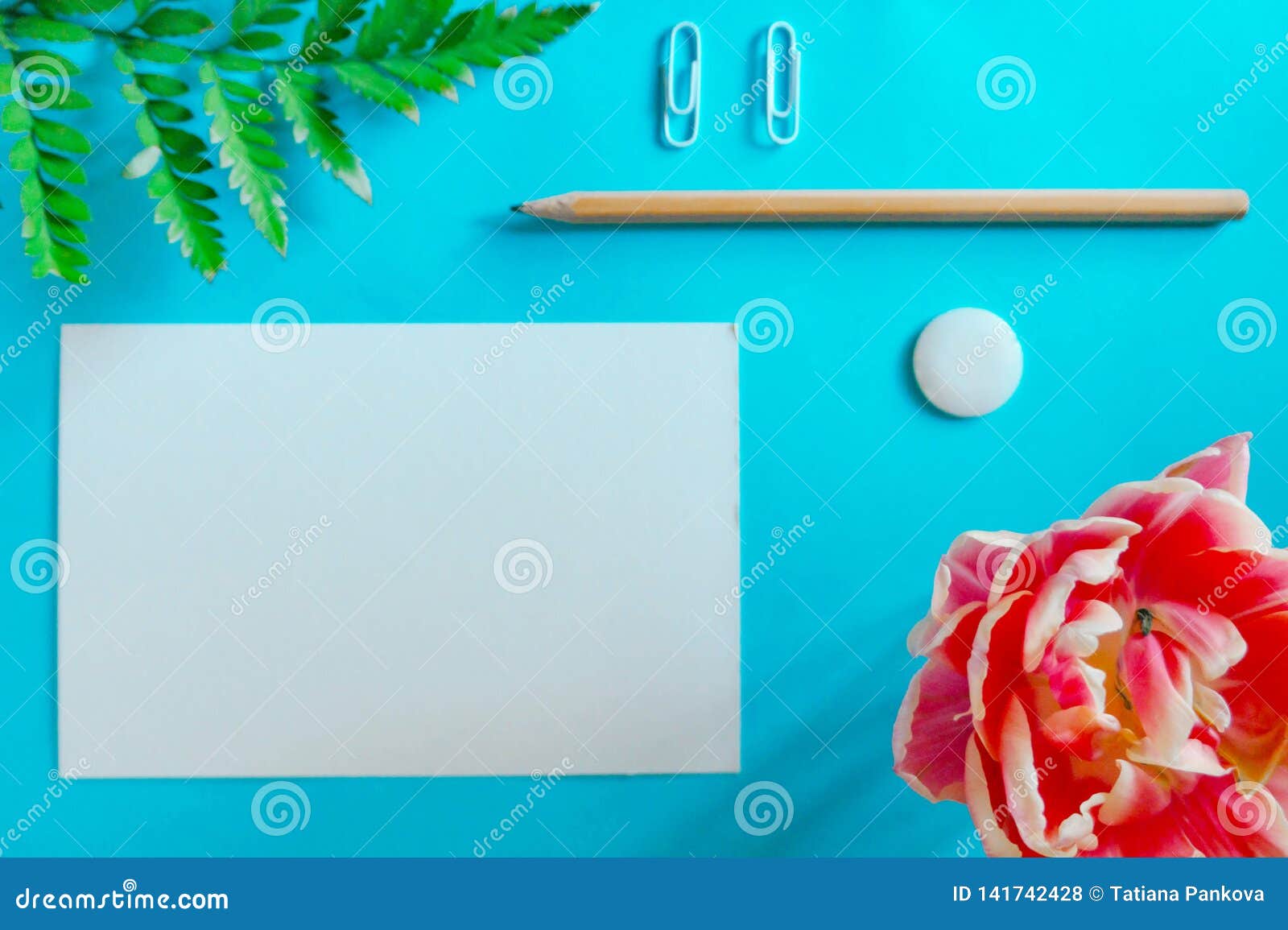 Flat Lay Blue Background with a Place for Text. Tulip and Tropical Leaf ...