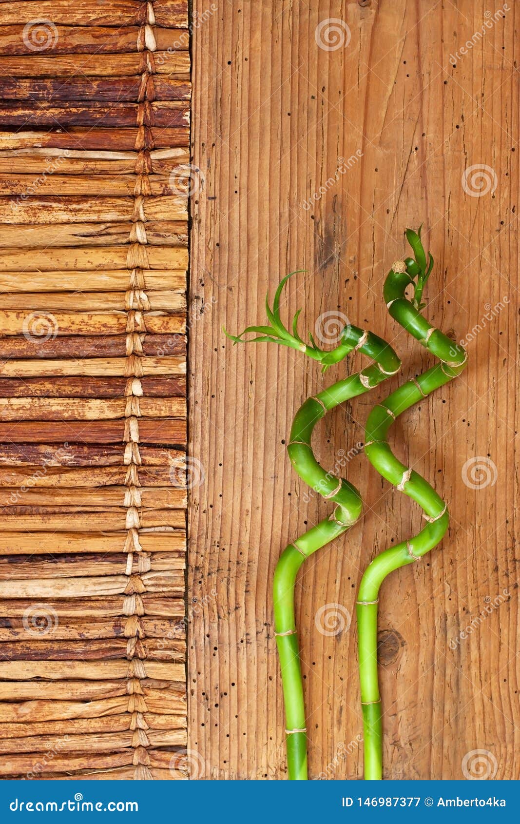 Flat Lay Composition of Bamboo Stems Stock Image - Image of background ...