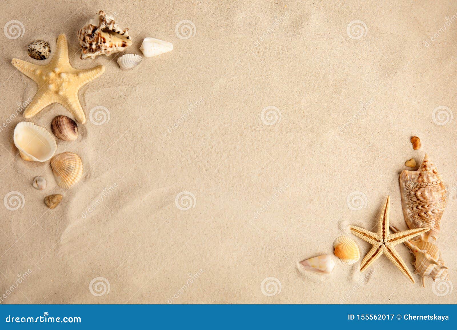Flat Lay Composition with Beautiful and Sea Shells on Sand, Space for ...