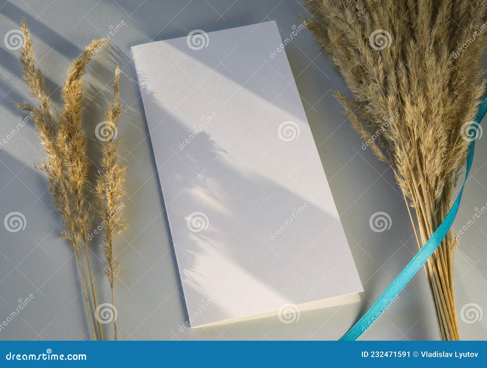 Flat Lay Composition with Blank Paper on White Background. Top View ...