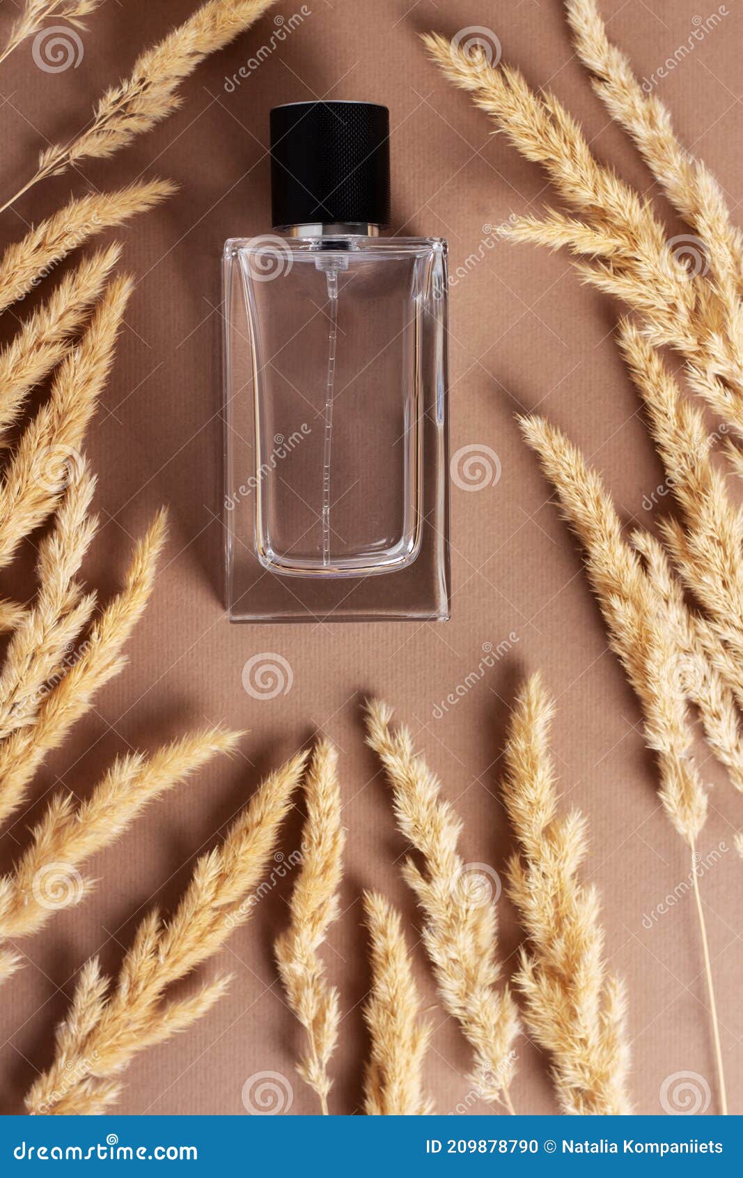 Flat Lay Composition Bottle of Man Perfume with Spikelets on Brown ...