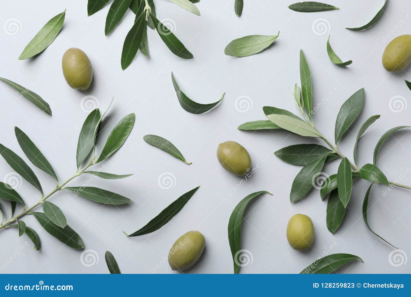Flat Lay Composition with Fresh Green Olive Leaves Stock Image - Image ...