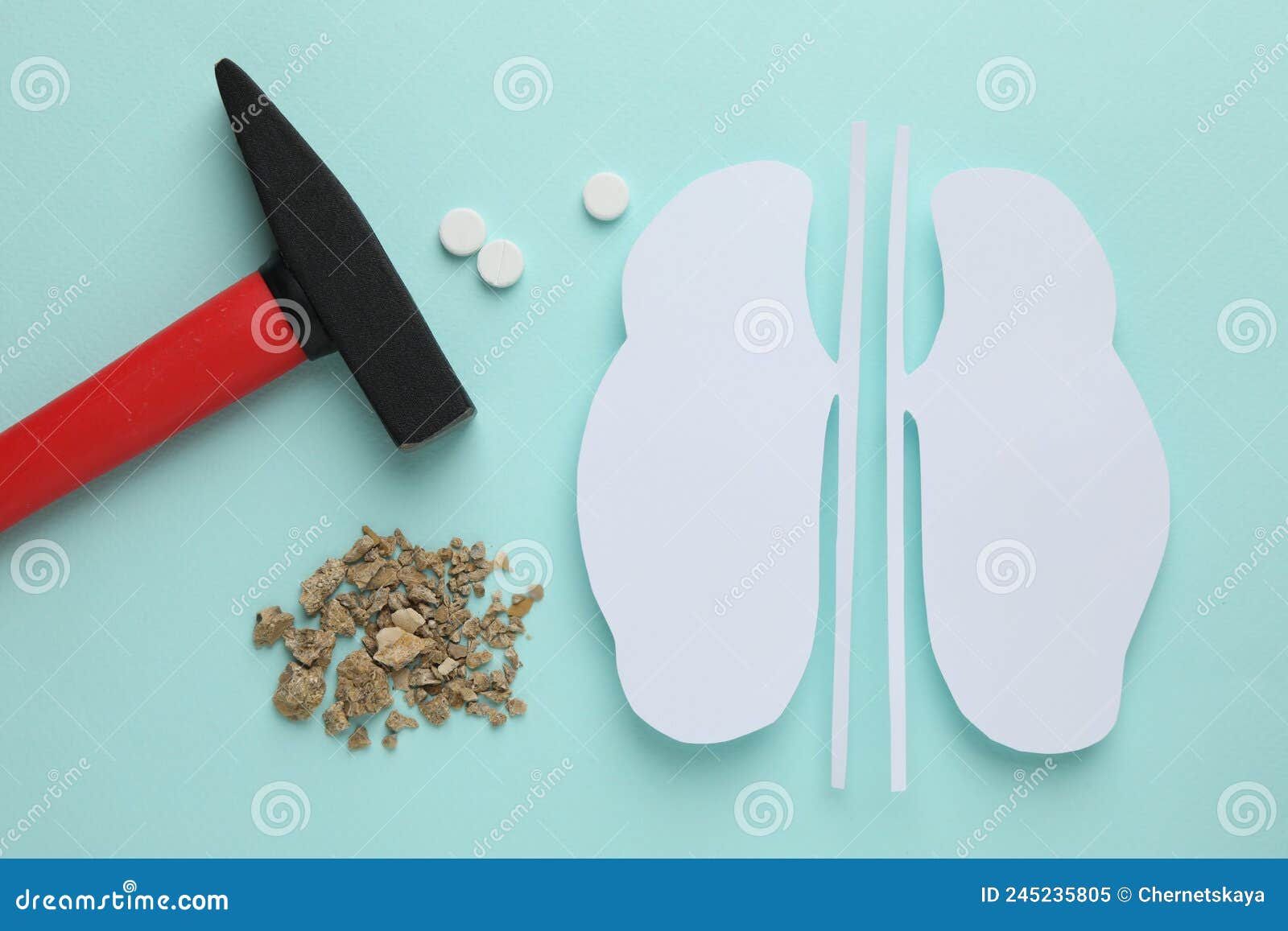 Flat Lay Composition of Kidneys Paper Cutout with Stones on Turquoise ...