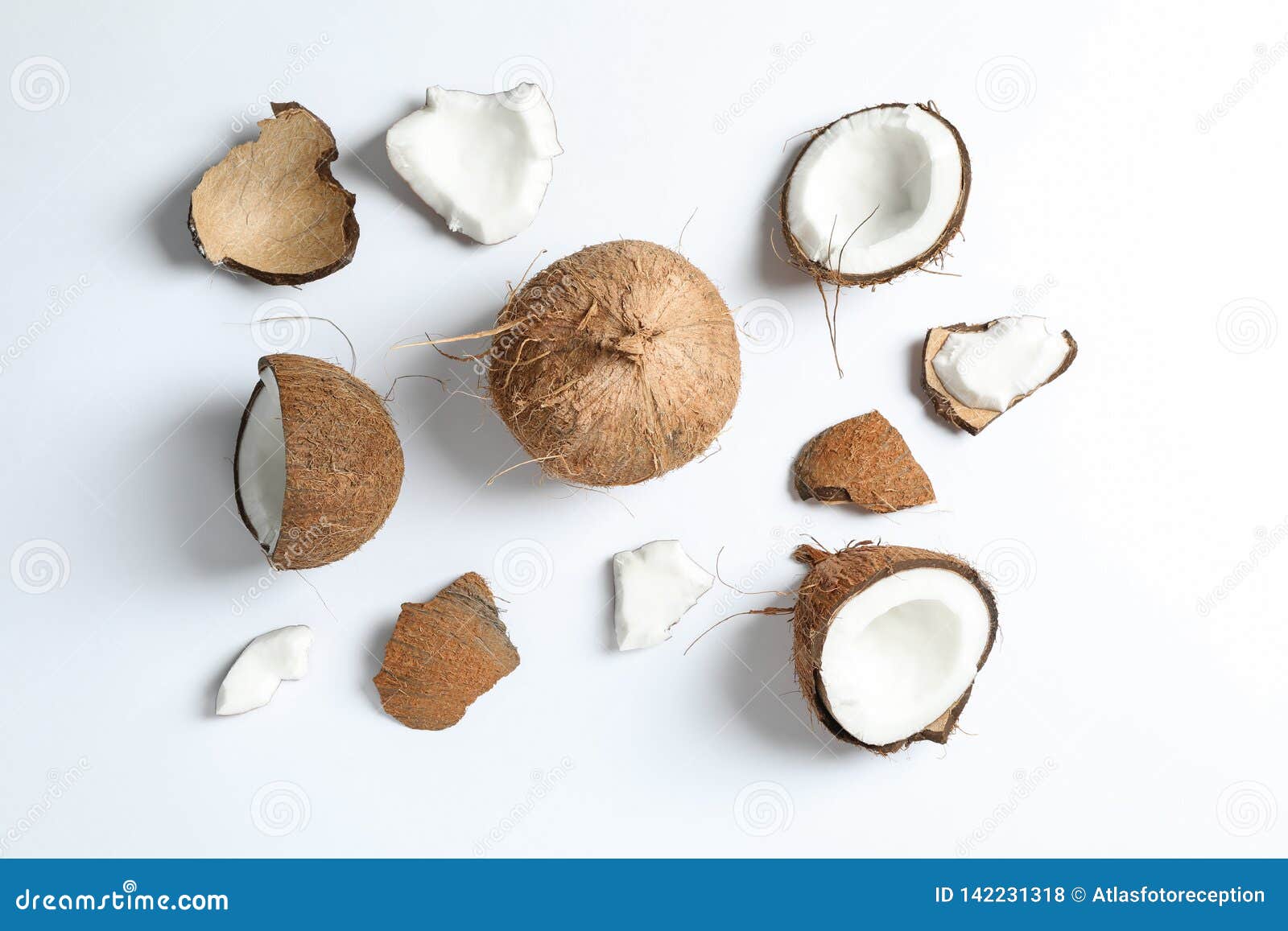 How To Split A Coconut? Stock Image | CartoonDealer.com #73659925