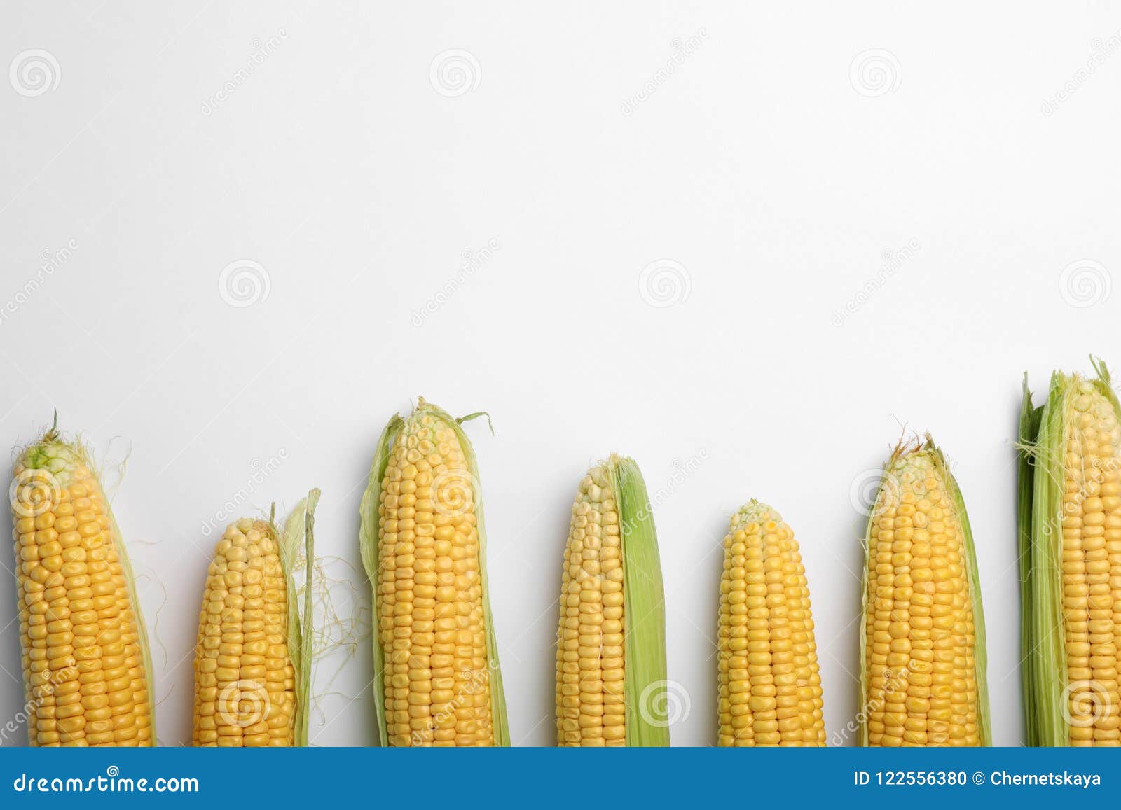 Flat Lay Composition with Tasty Sweet Corn Cobs Stock Photo - Image of ...