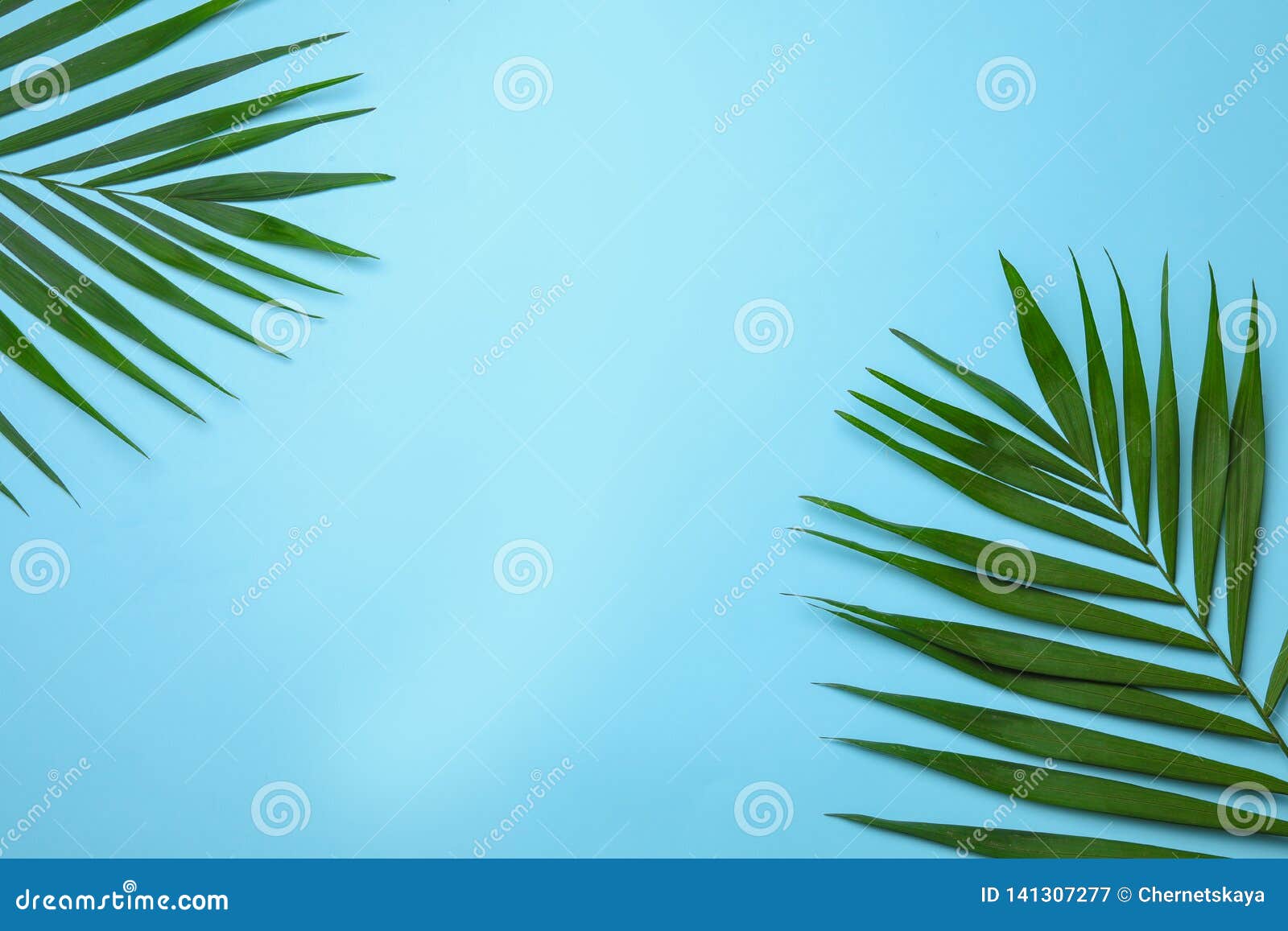 Flat Lay Composition with Tropical Areca Palm Leaves and Space for Text ...