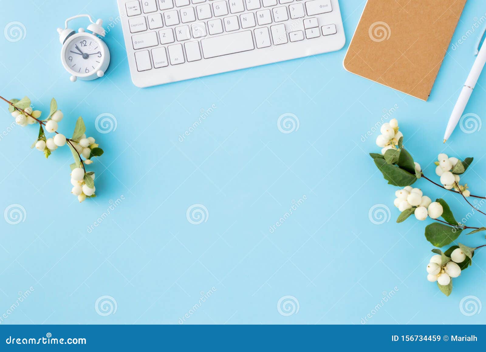 Flat Lay Desk and Branch with Green Leaves Stock Image - Image of ...
