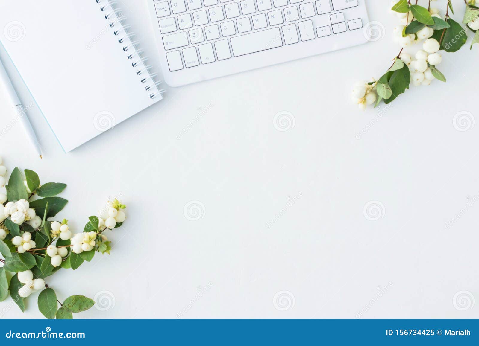 Flat Lay Desk and Branch with Green Leaves Stock Image - Image of ...