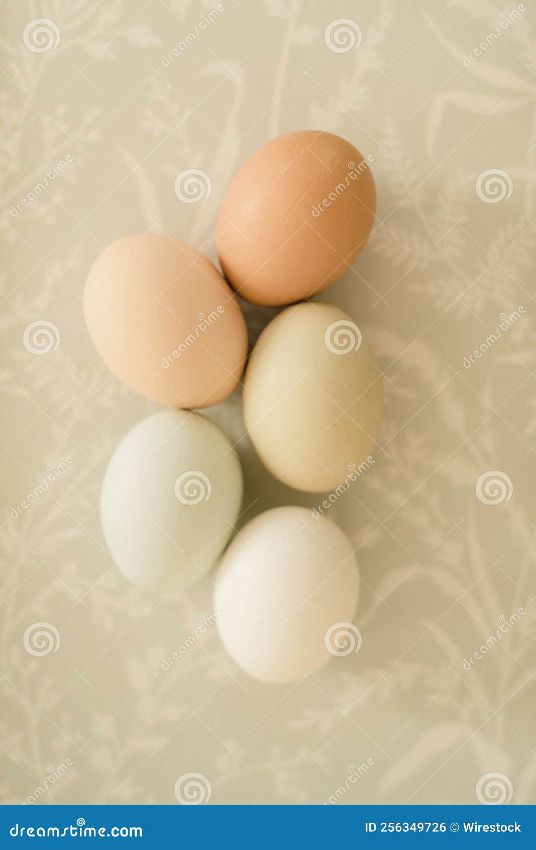 Flat Lay of Different Shades of Eggs on a Surface Stock Photo - Image ...