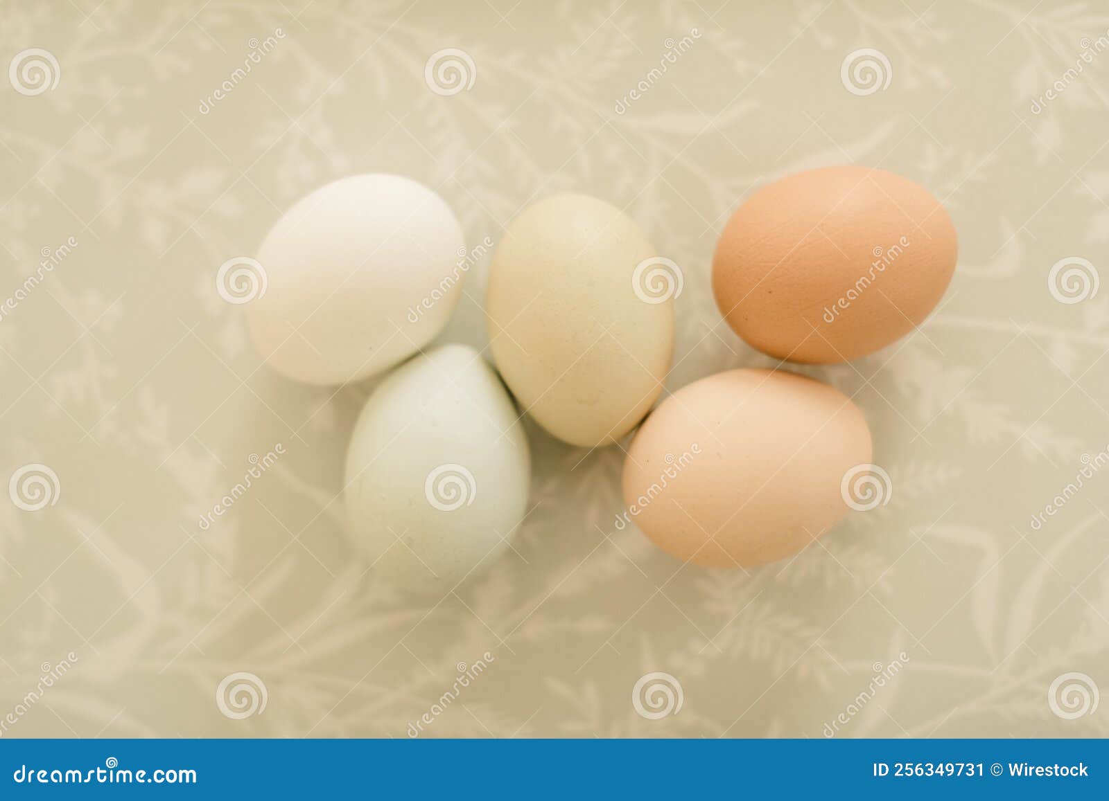 Flat Lay of Different Shades of Eggs on a Surface Stock Image - Image ...