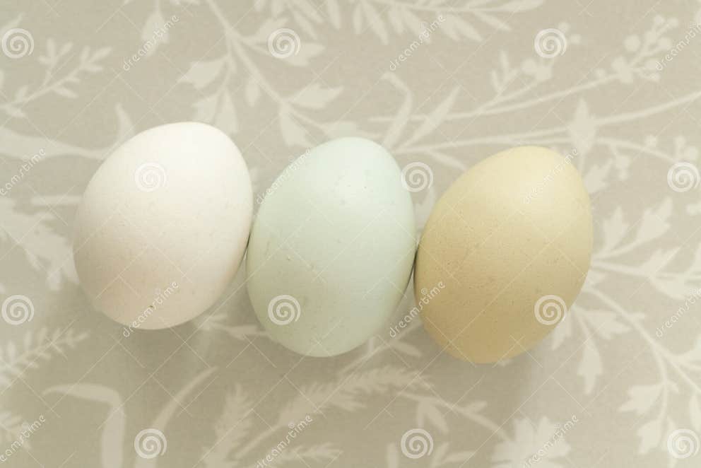 Flat Lay of Different Shades of Eggs on a Surface Stock Photo - Image ...