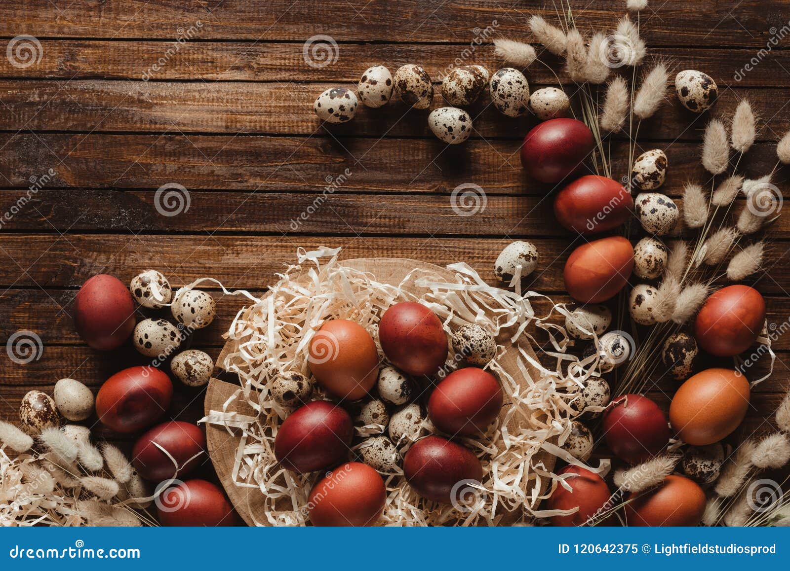 Flat Lay with Easter Eggs on Cross Section of Tree Trunk on Wood ...