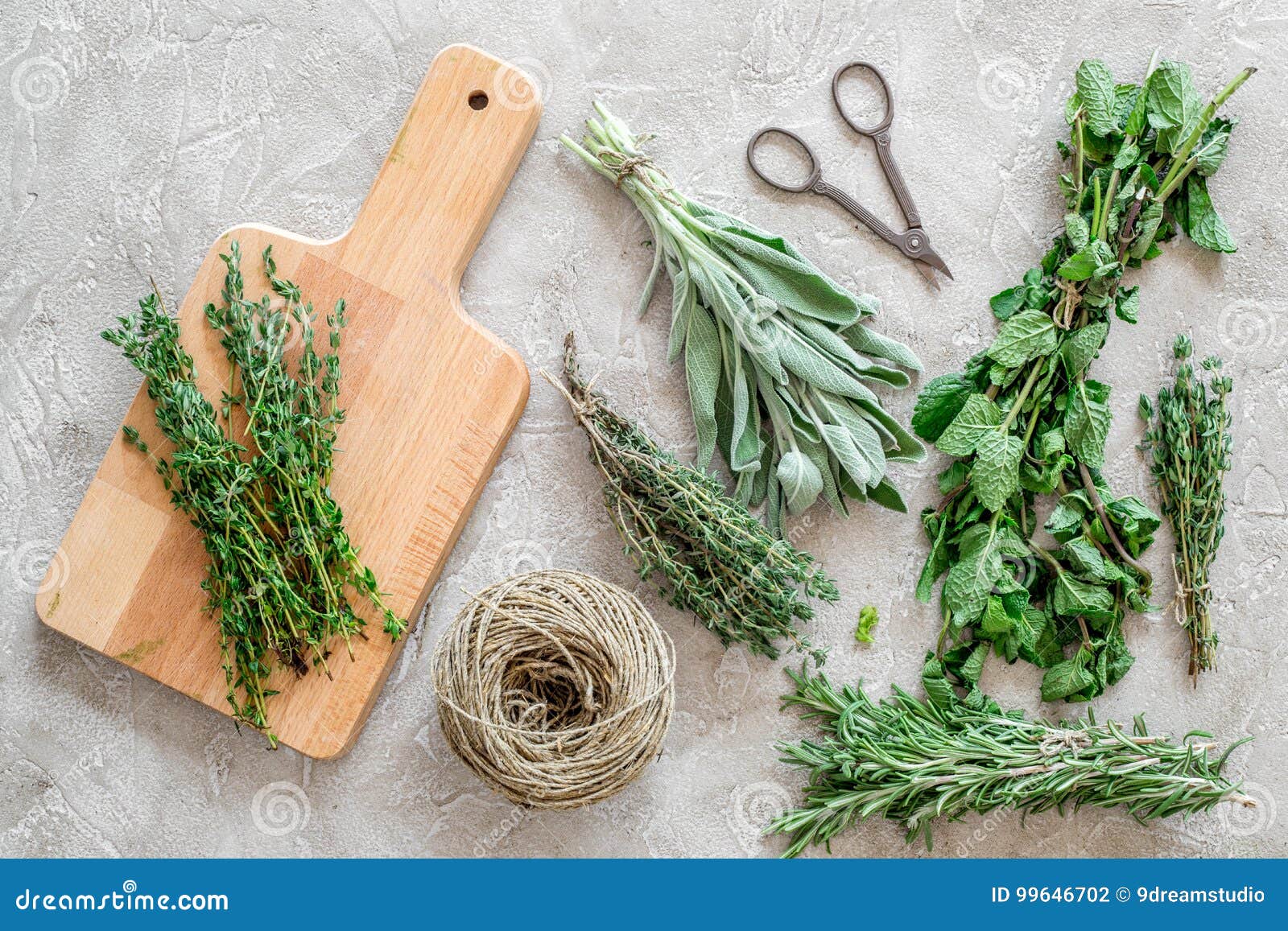 Flat Lay with Fresh Herbs and Greenery for Drying and Making Spices Set ...