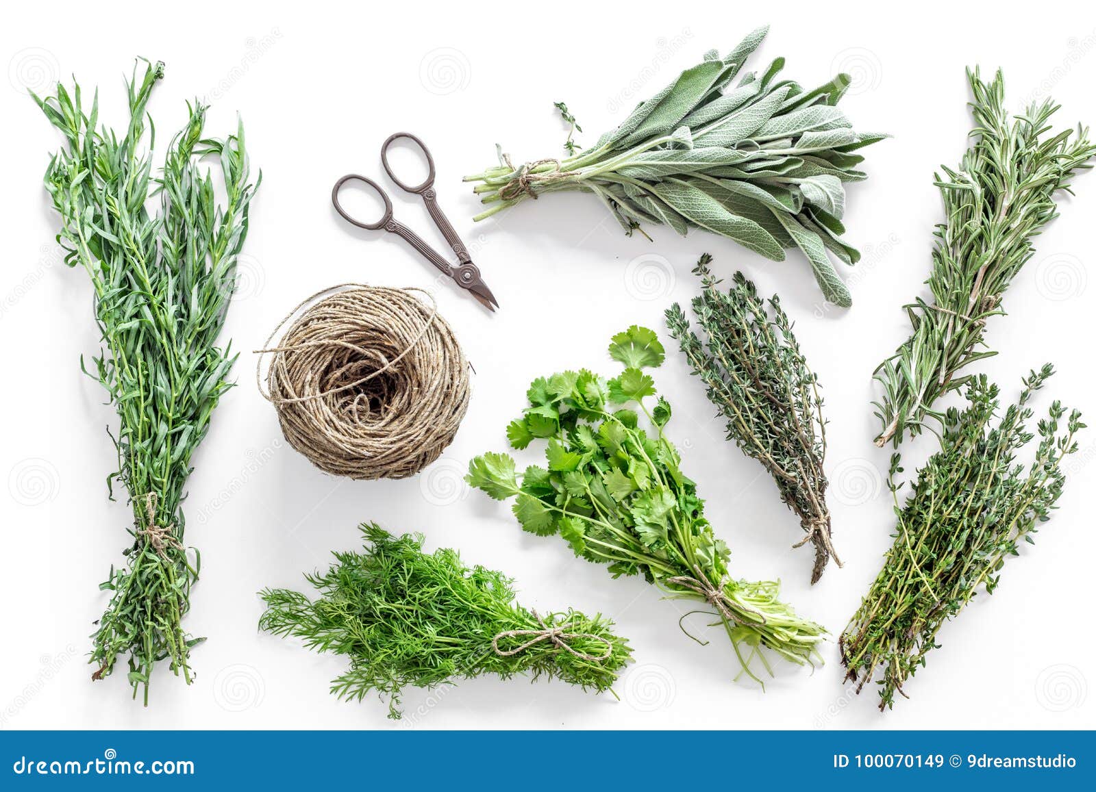 Flat Lay with Fresh Herbs and Greenery for Drying and Making Spices Set ...