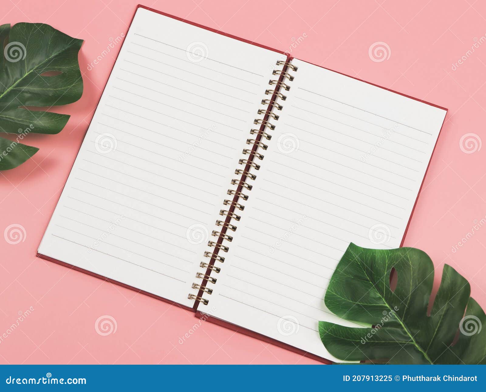 Flat Lay of Opened Diary on Pink Background with Monstera Leaves Stock ...