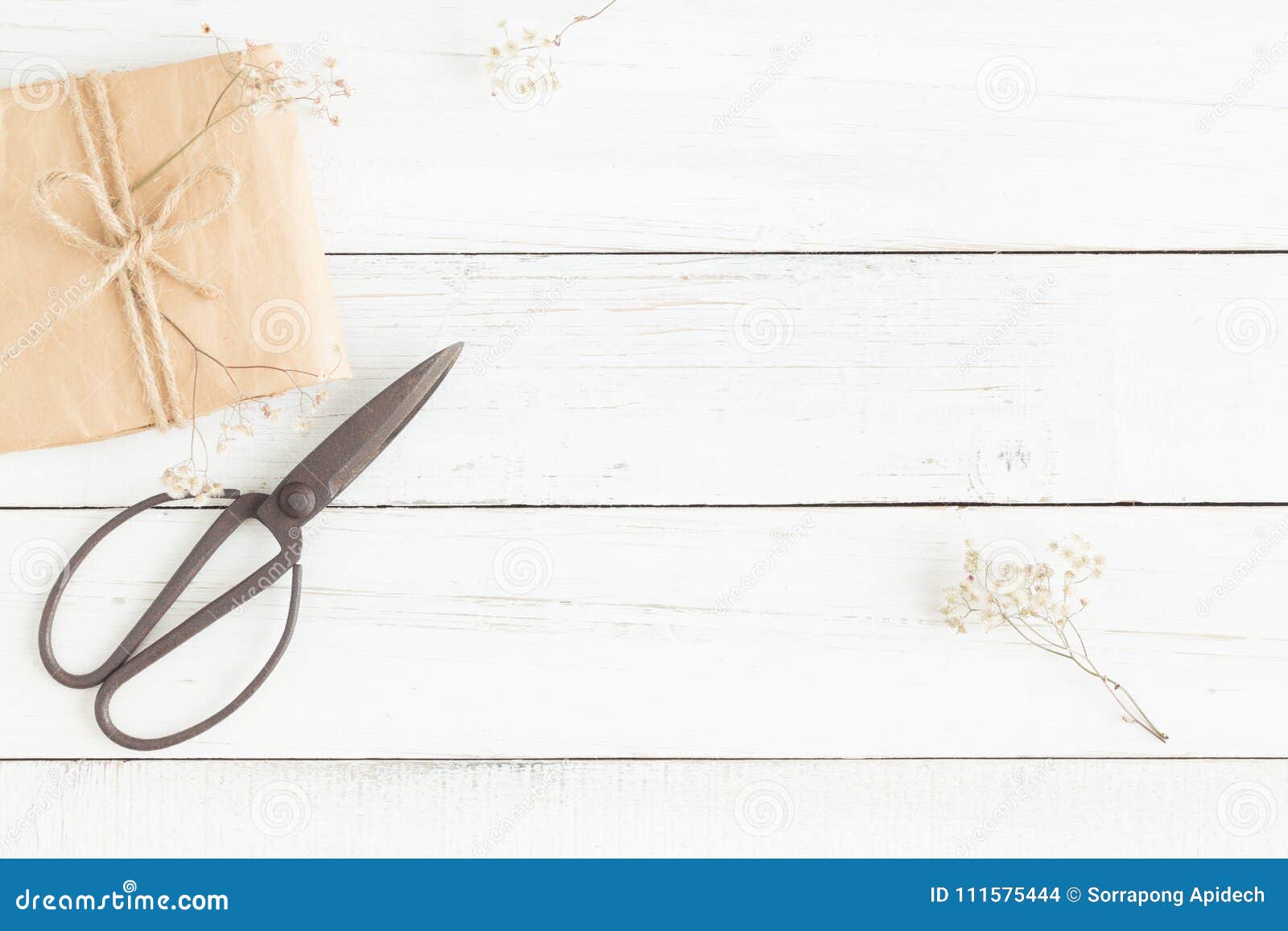 Flat Lay Of Scissors On Colored Background Minimalist Pastel Colored ...