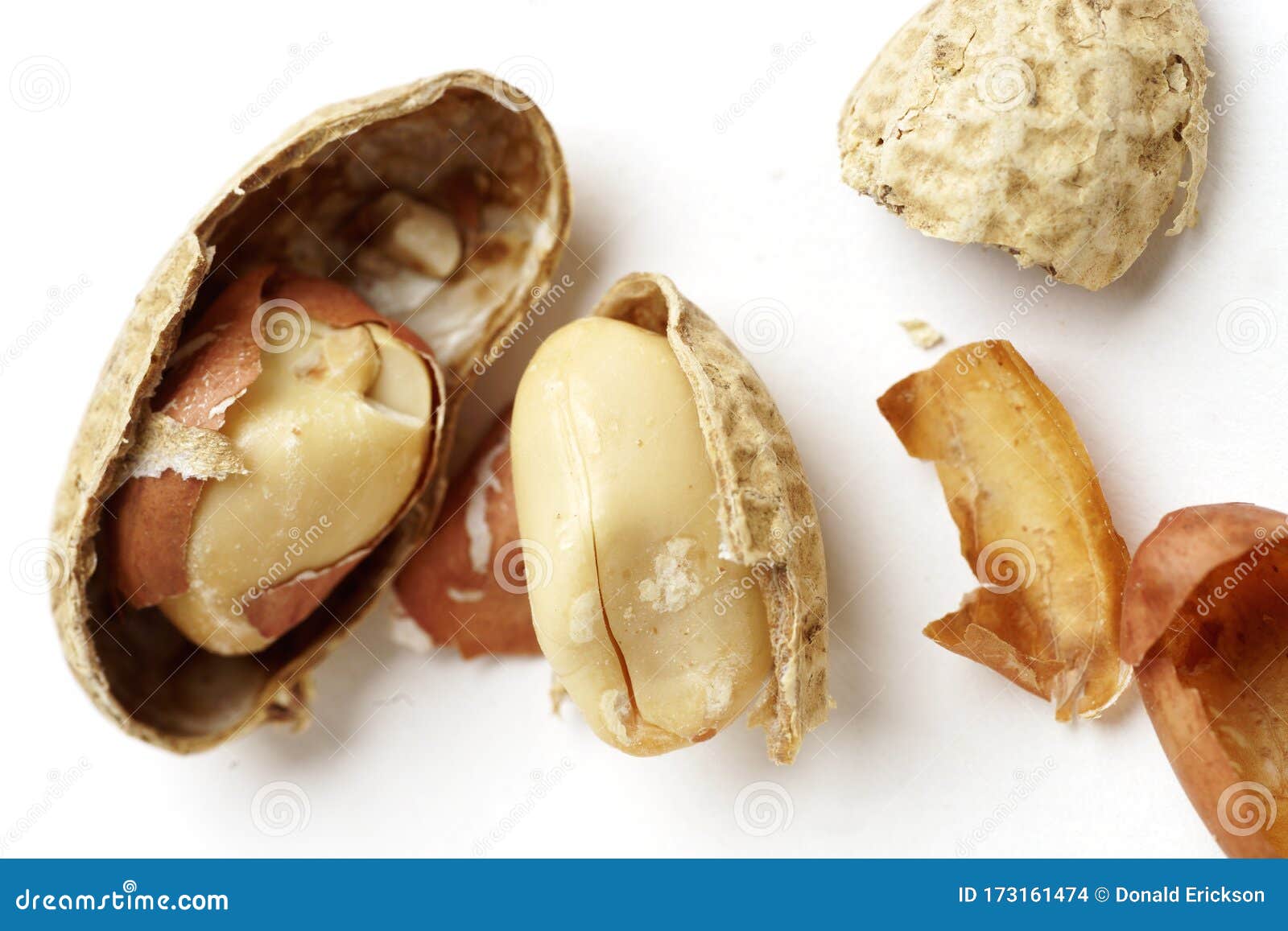 Peanut Broken Open stock photo. Image of ingredient - 173161474