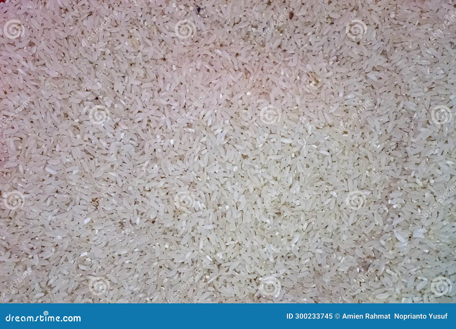 Flat Lay Rice Texture for Background Stock Image - Image of grain ...