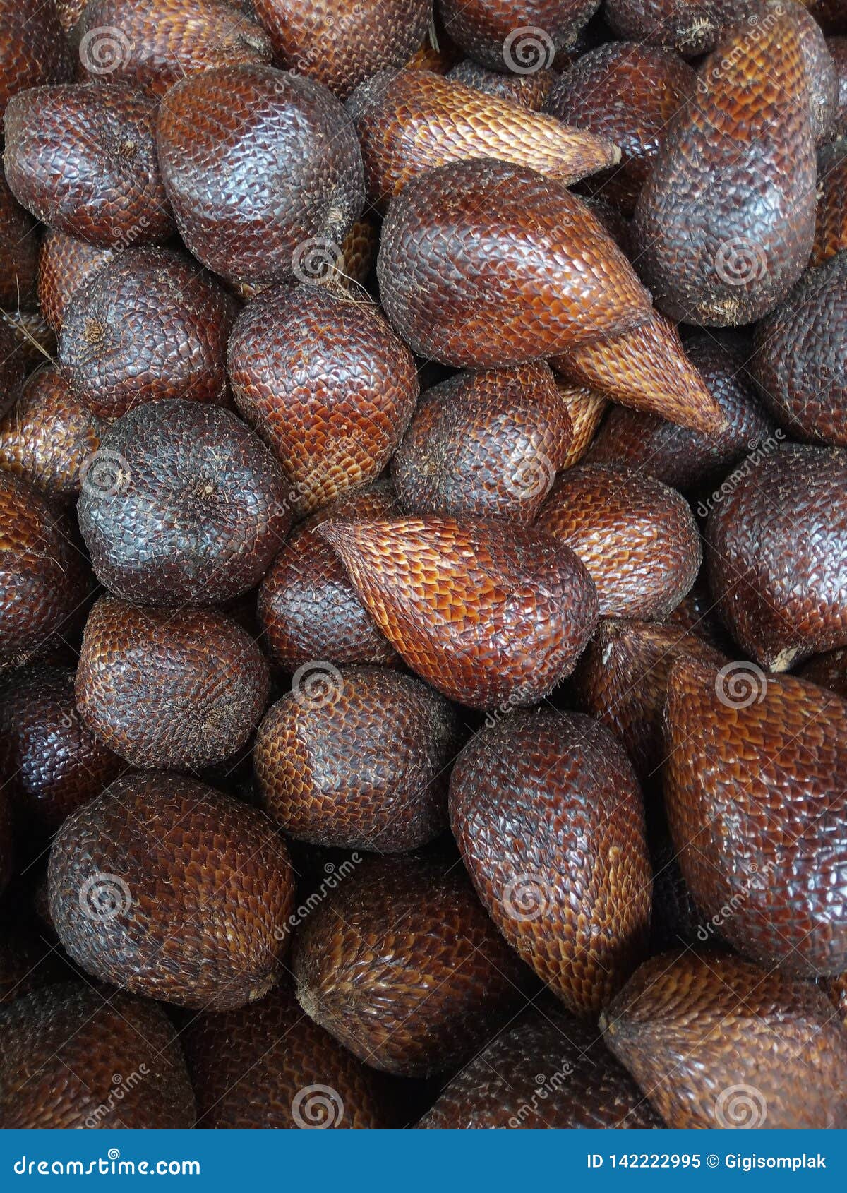 Flat Lay of Snake Fruits stock image. Image of health - 142222995