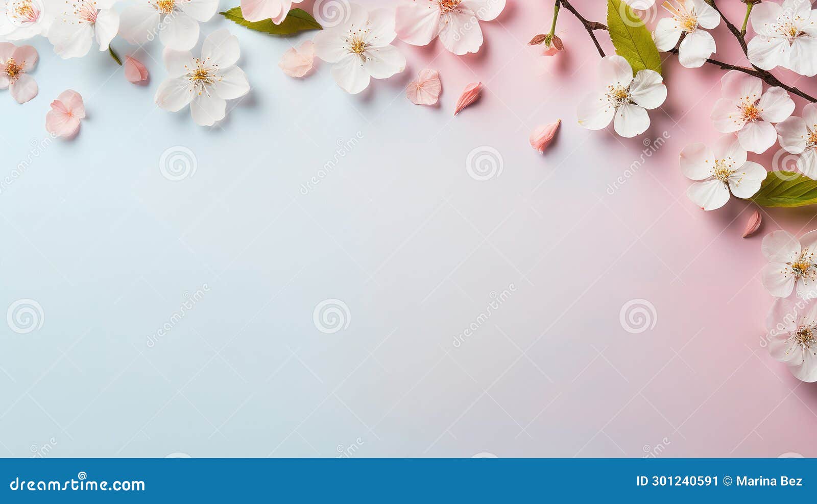 Flat Lay of Spring Flowers on Blue Background with Copy Space Stock ...