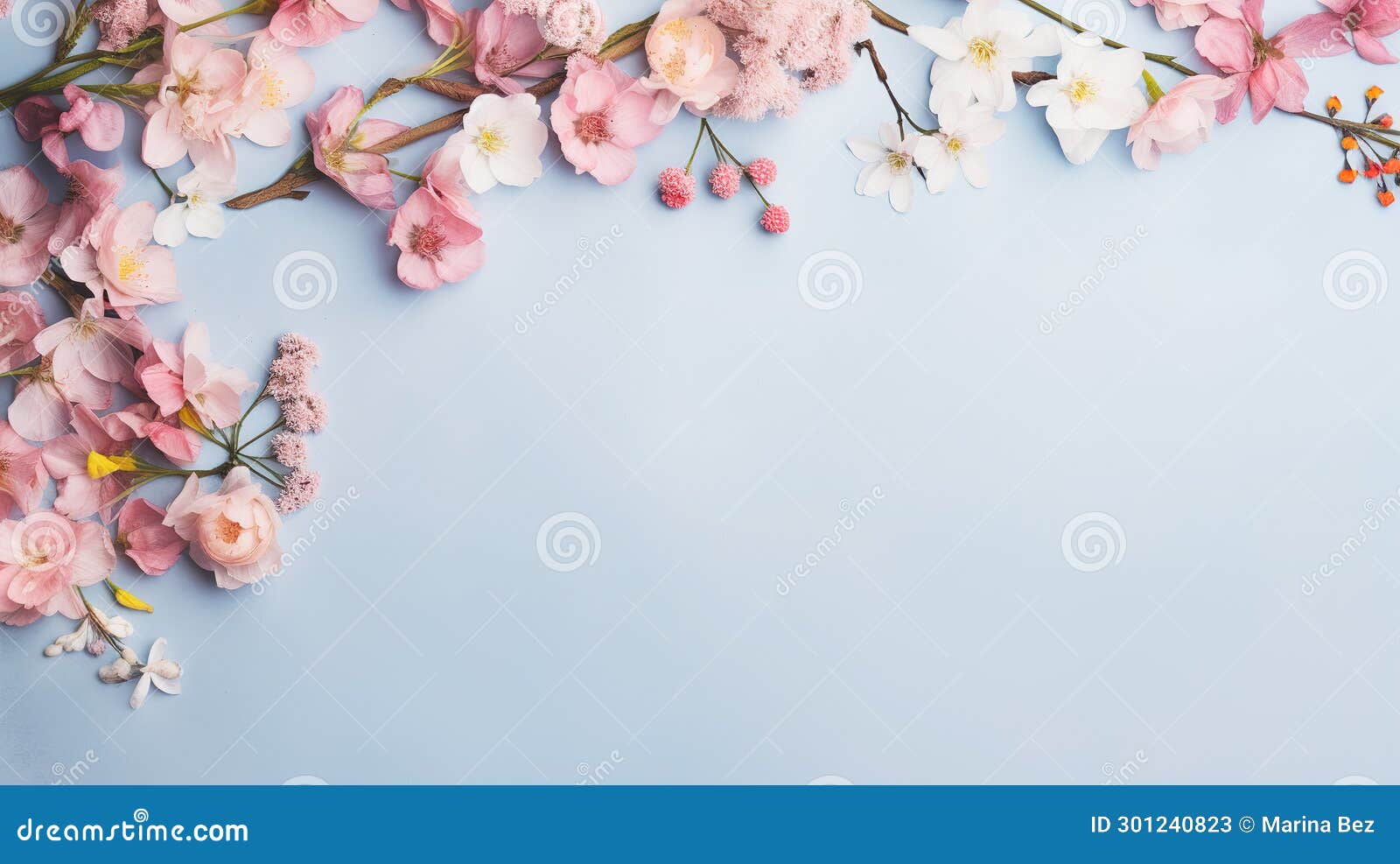 Flat Lay of Spring Flowers on Blue Background with Copy Space Stock ...