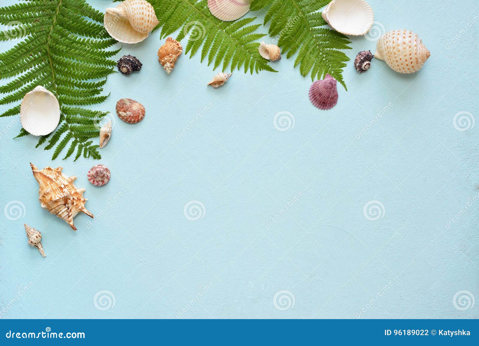 Flat Lay. Top View. Frame of Shells of Various Kinds on a Blue ...