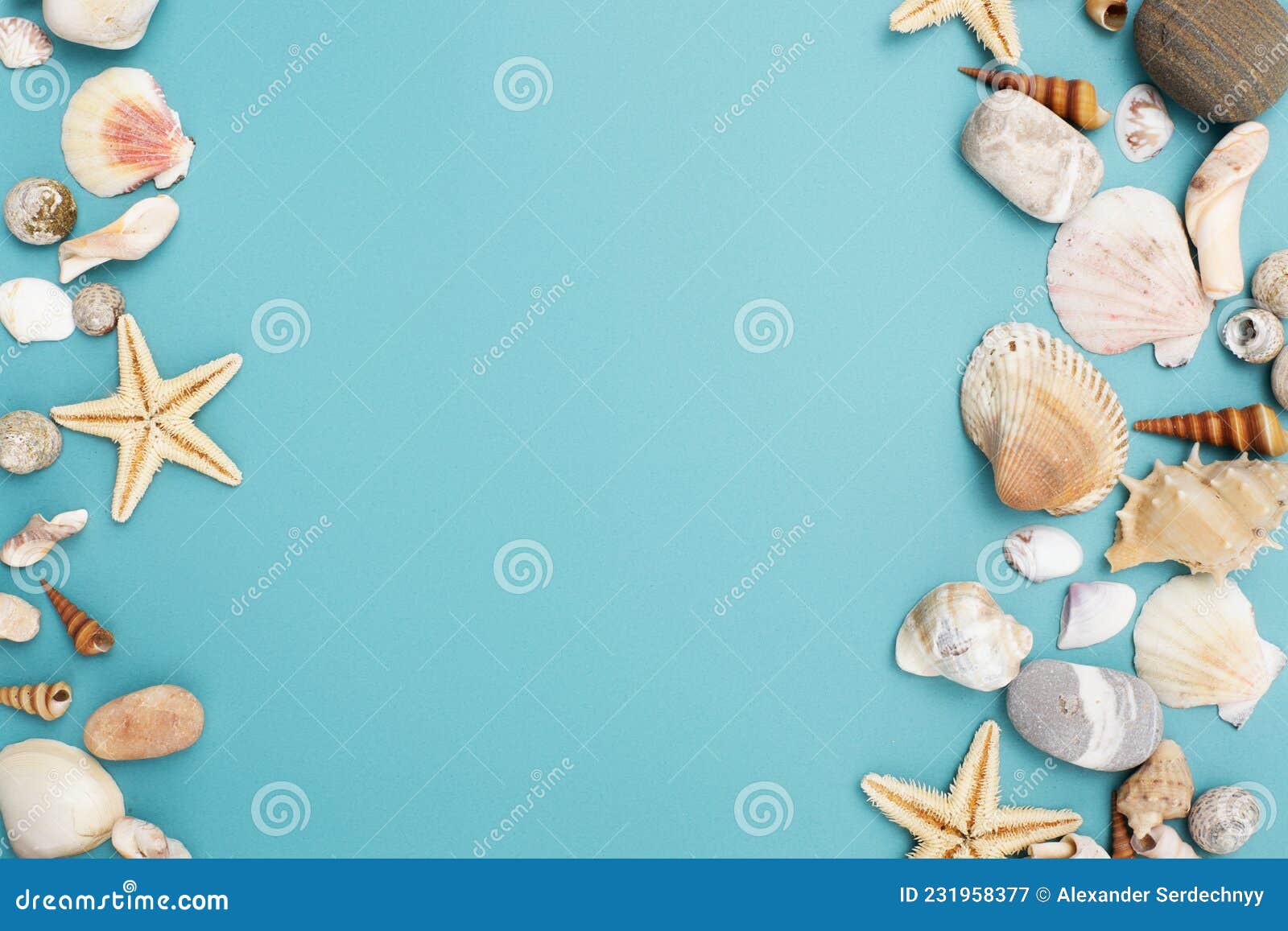 Frame of Shells of Various Kinds on a Blue Background Stock Image ...