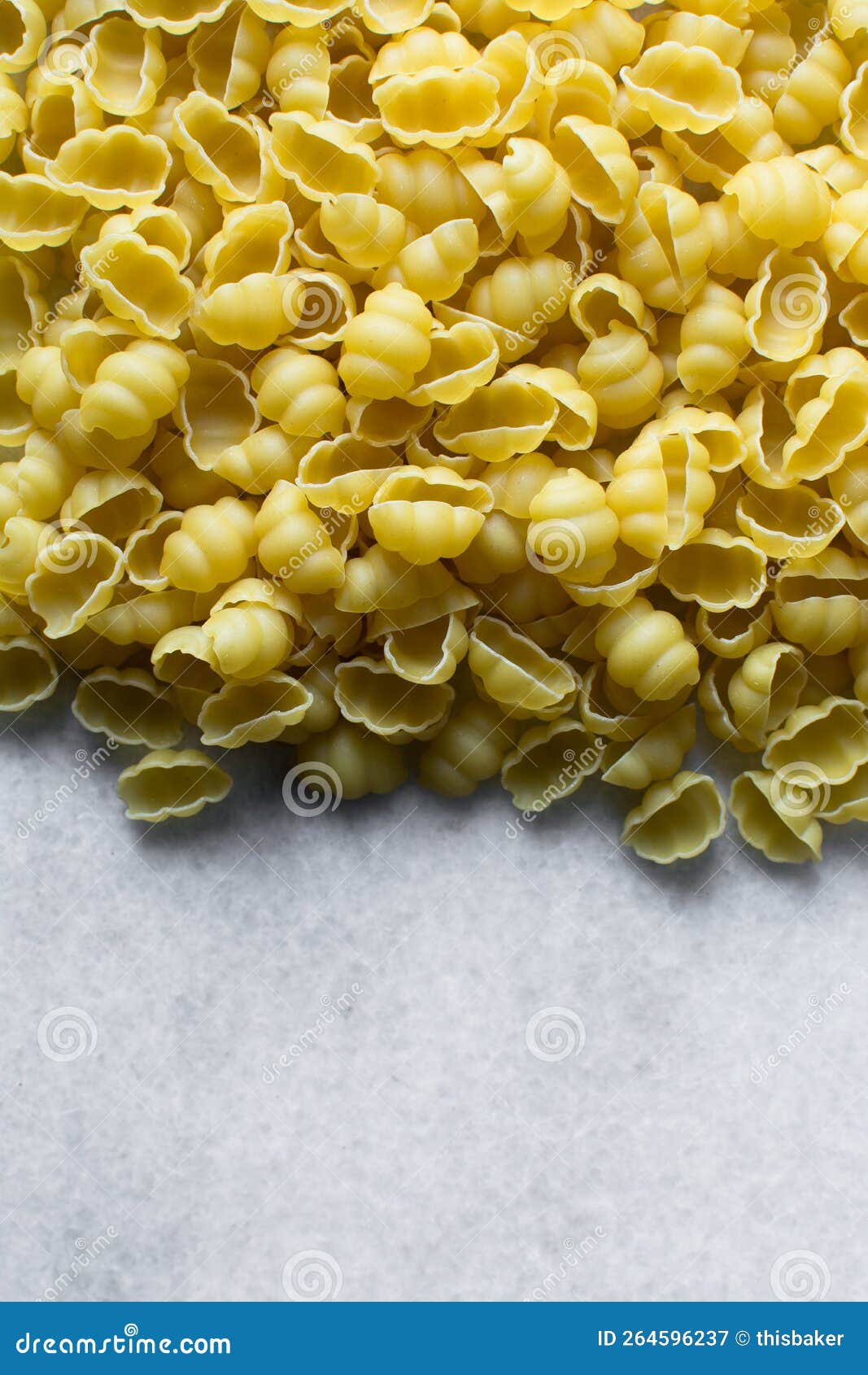 Flat Lay of Uncooked Gnocchetti Pasta Shells Stock Image - Image of ...