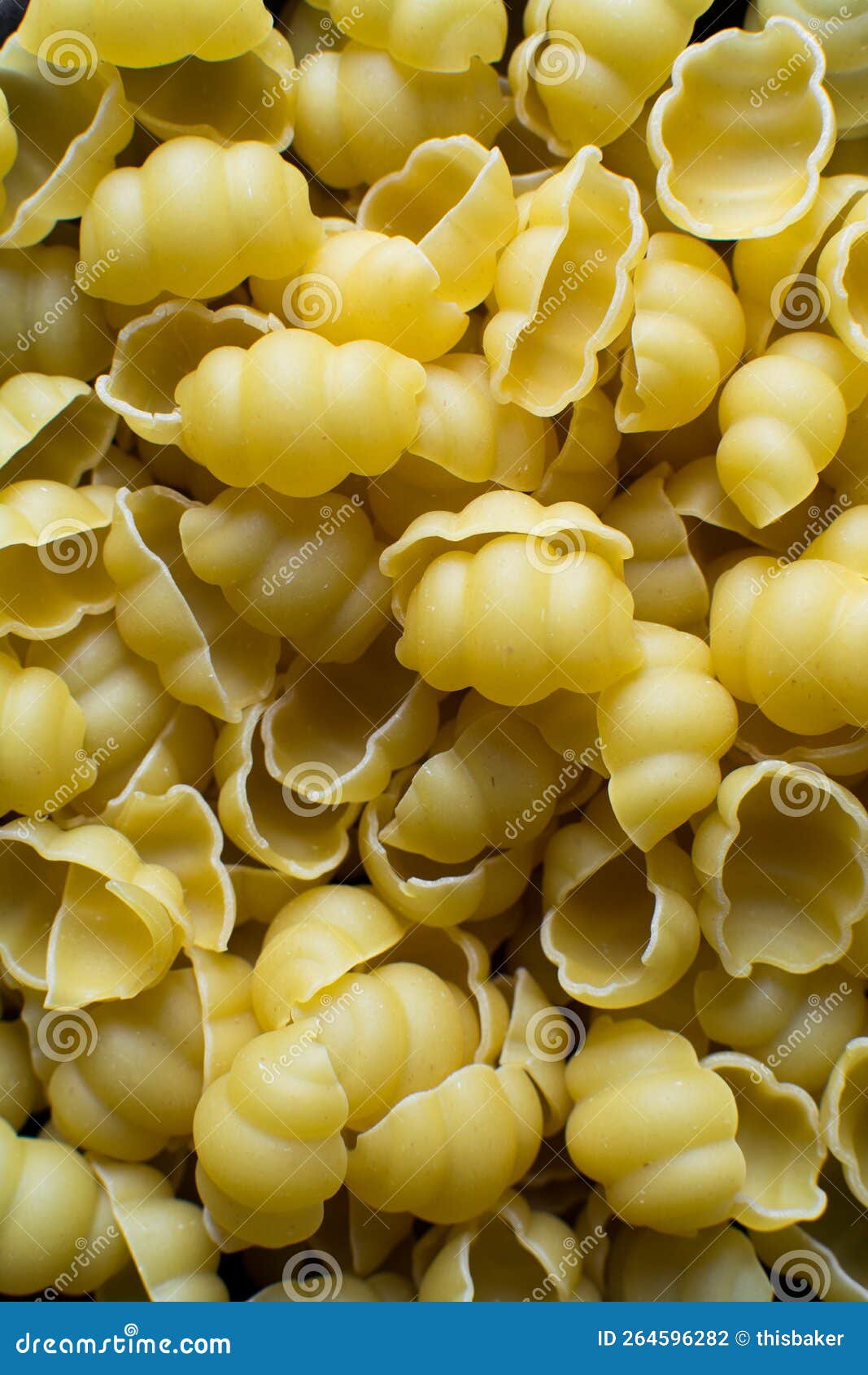 Flat Lay of Uncooked Gnocchetti Pasta Shells Stock Photo - Image of ...