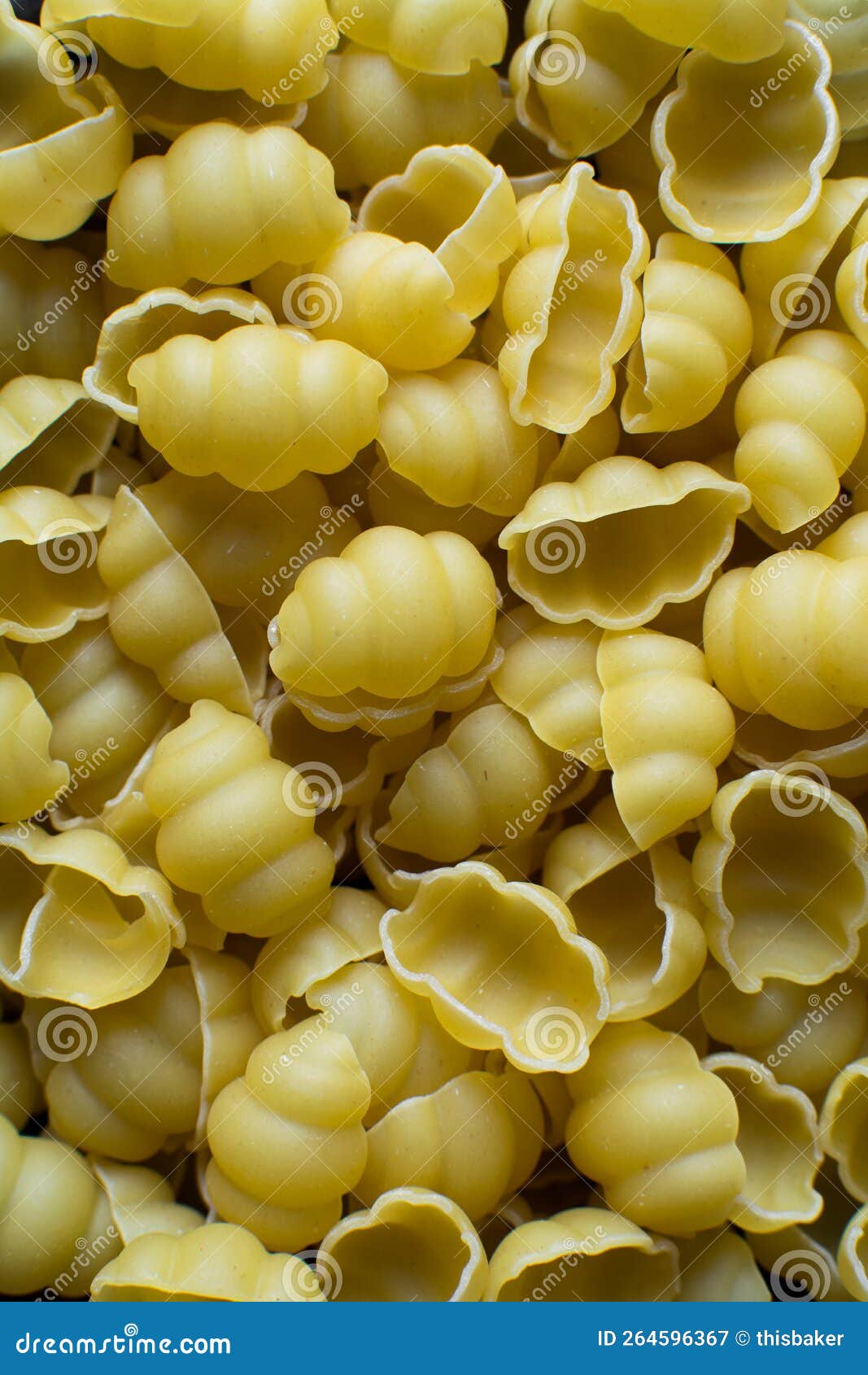 Flat Lay of Uncooked Gnocchetti Pasta Shells Stock Image - Image of ...
