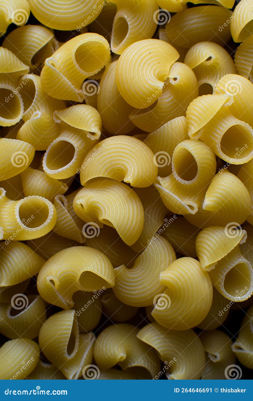 Flat Lay of Uncooked Pipe Rigate Pasta, Top View of Pipe Rigate Pasta ...