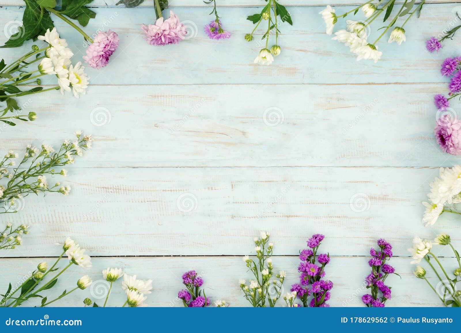 Flat Lay of Various Colorful Spring Flowers Frame Stock Photo - Image ...