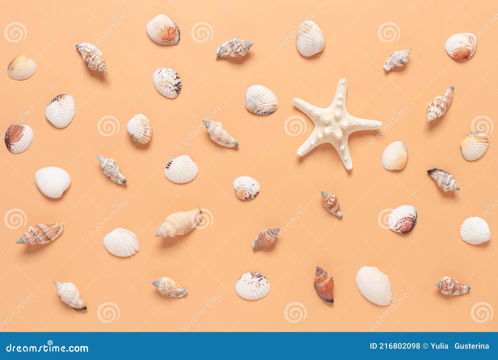 Flat Lay of Various Seashells on Pastel Peach Background. Beautiful ...