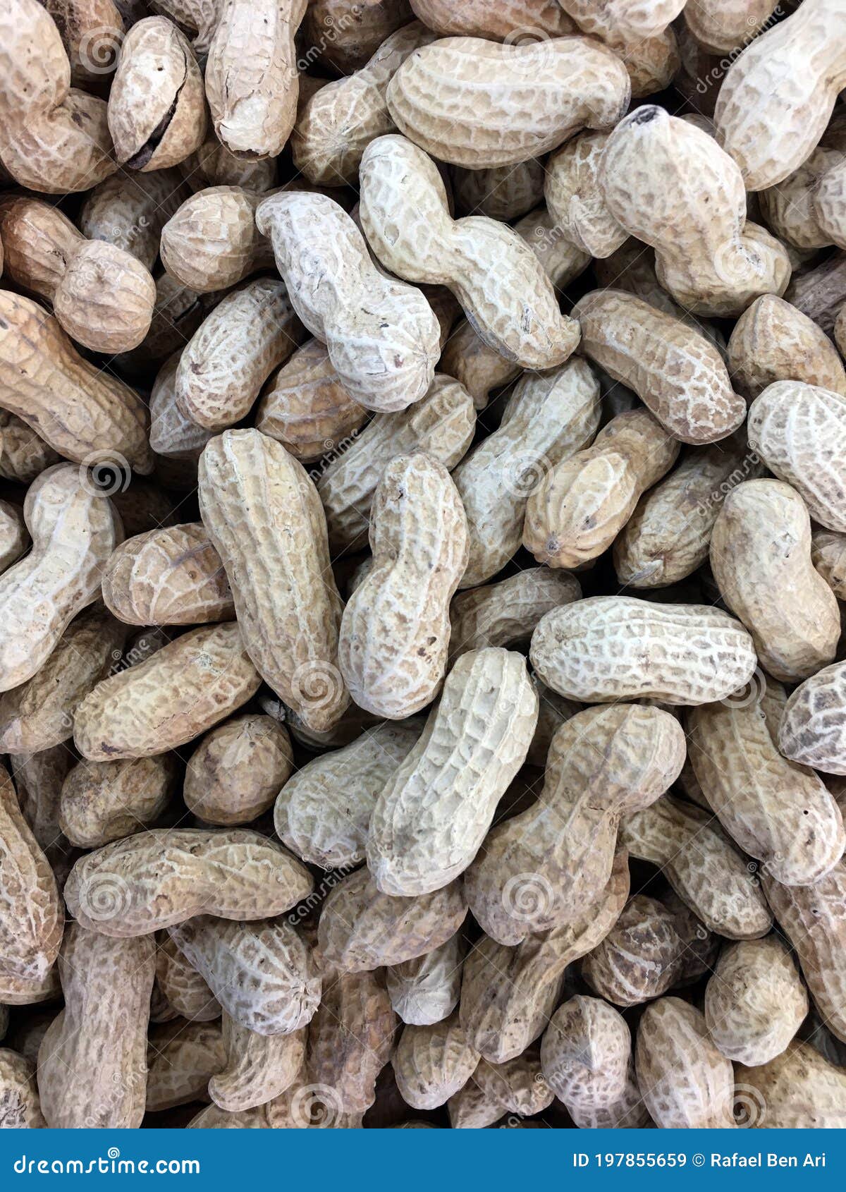 Groundnuts Abstract Background and Texture Stock Image - Image of ...